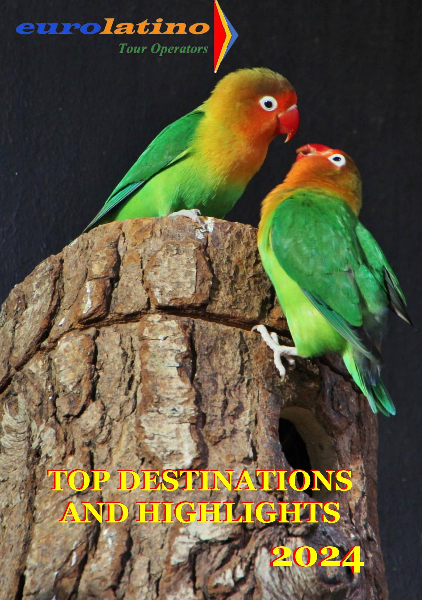 2024 TOP DESTINATIONS AND HIGHLIGHTS by EUROLATINO - Issuu