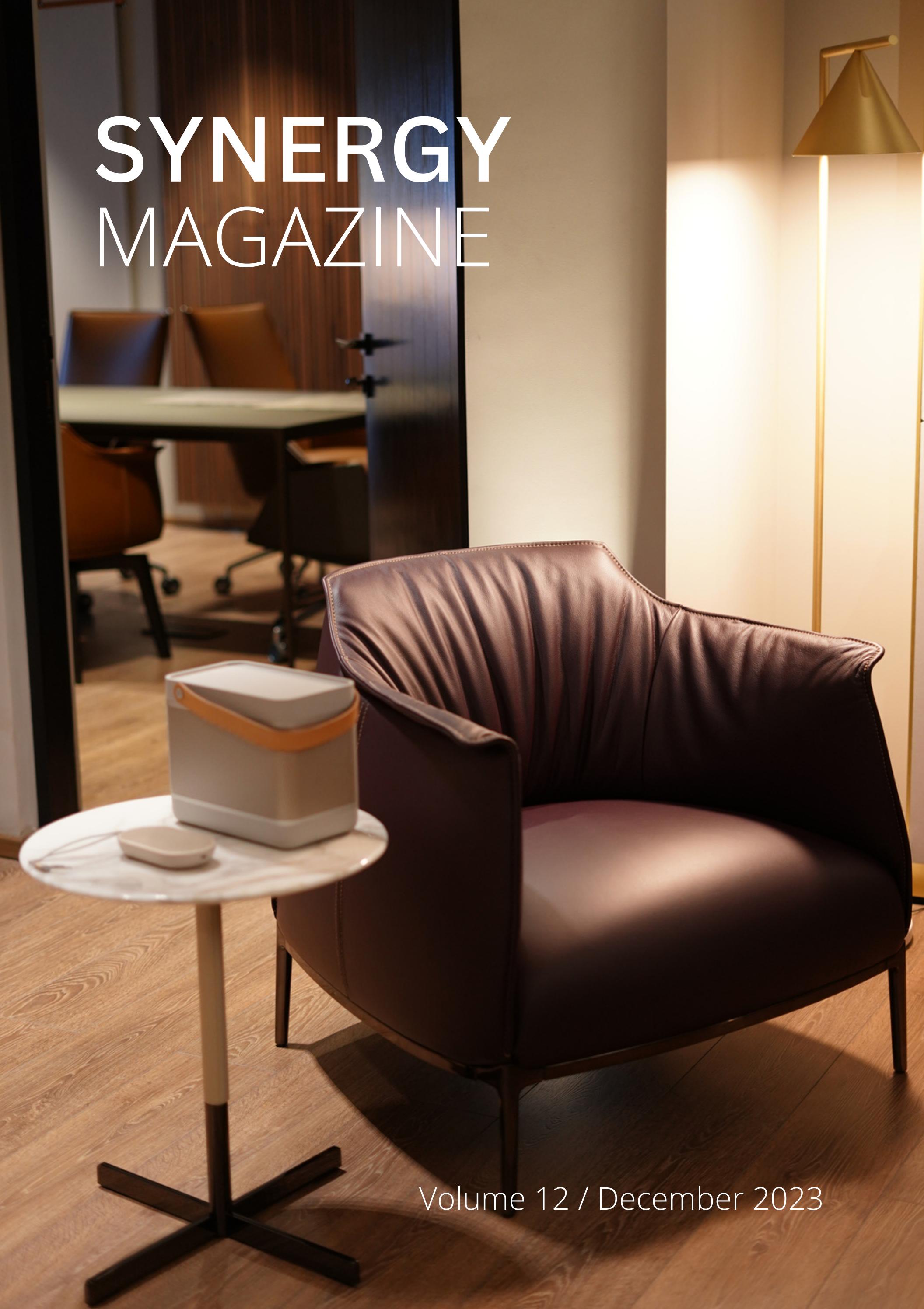 Synergy Magazine Volume 12 December 2023 by SynergyAV - Issuu