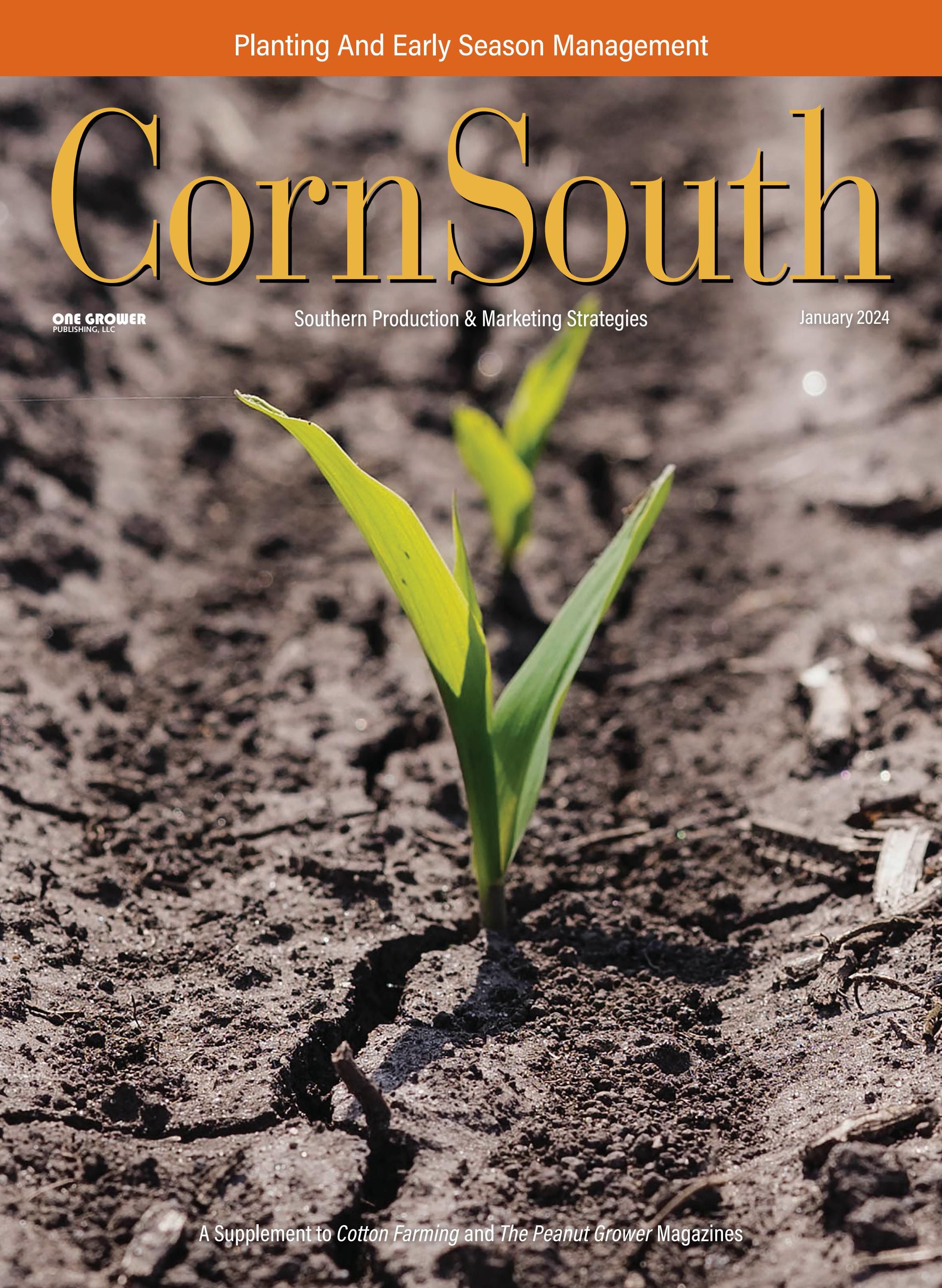 Corn South January 2024 by One Grower Publishing - Issuu