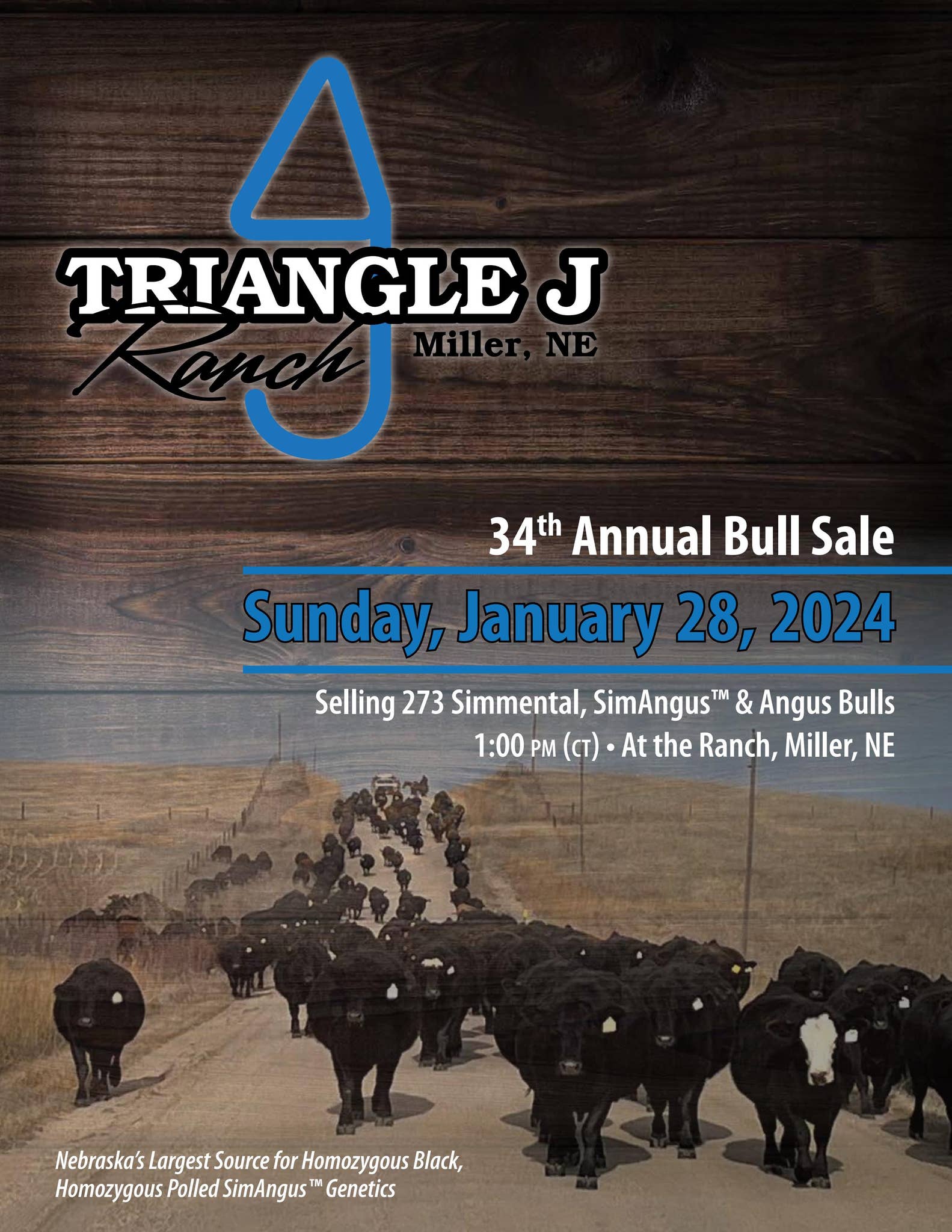 2023 Triangle J Ranch Bull Sale by Julie Murnin - Issuu