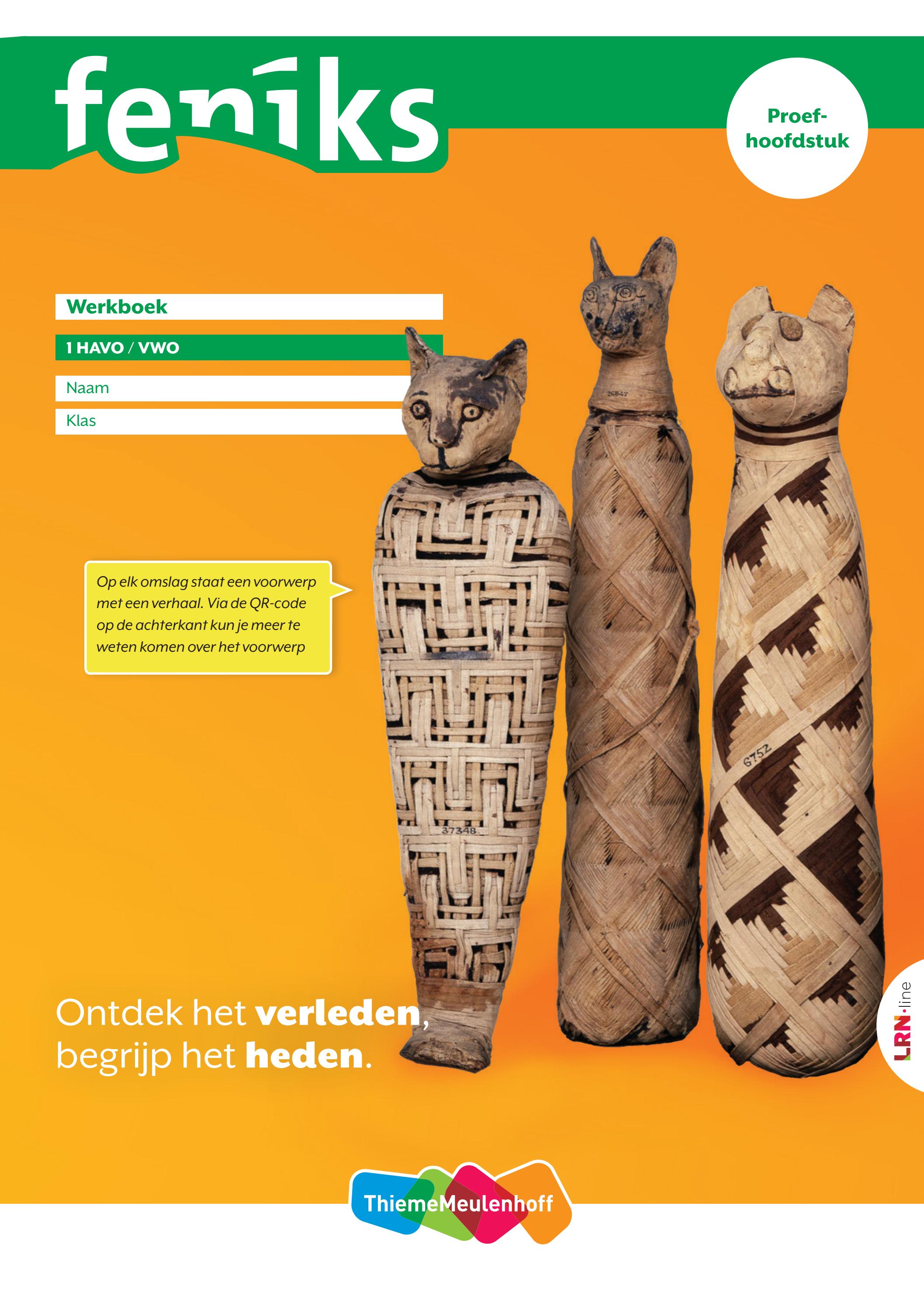 Feniks 1 havo/vwo werkboek - proefhoofdstuk 2024 by ThiemeMeulenhoff ...