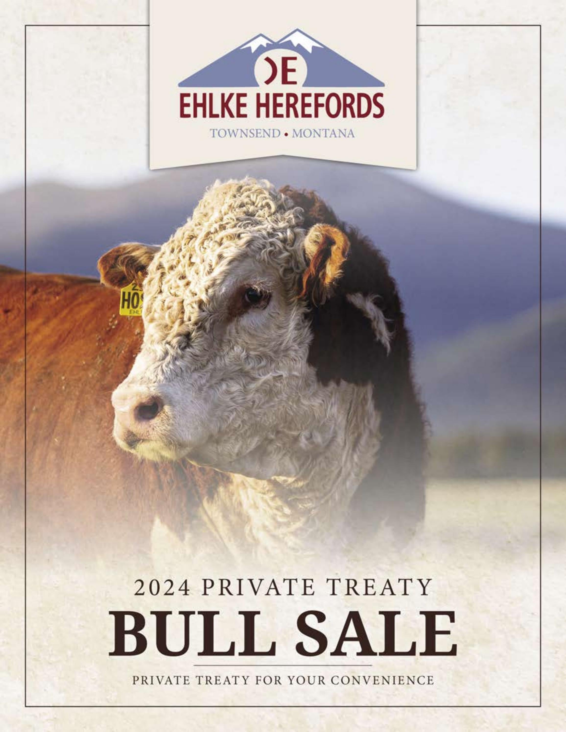 Ehlke Herefords Private Treaty Bull Sale by American Hereford ...