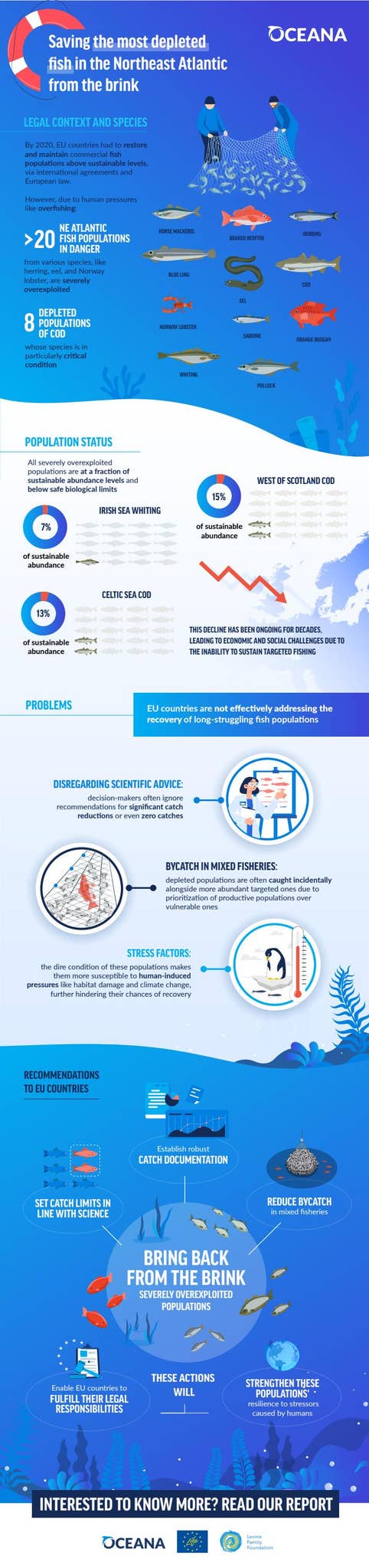 Infographic: Saving the most depleted fish in the Northeast Atlantic ...