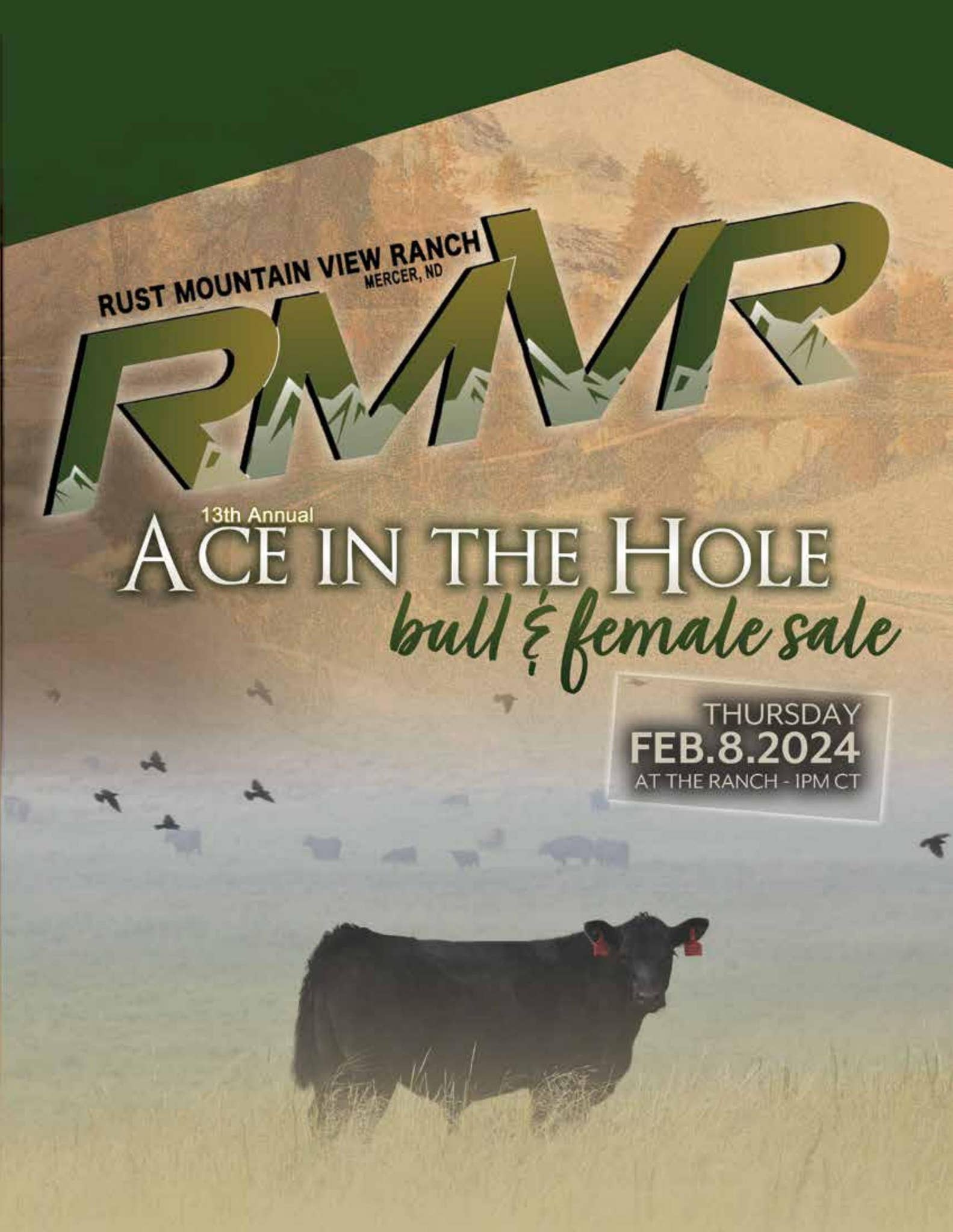 Rust Mountain View Ranch 2024 Bull Sale by Craig Reiter - Issuu