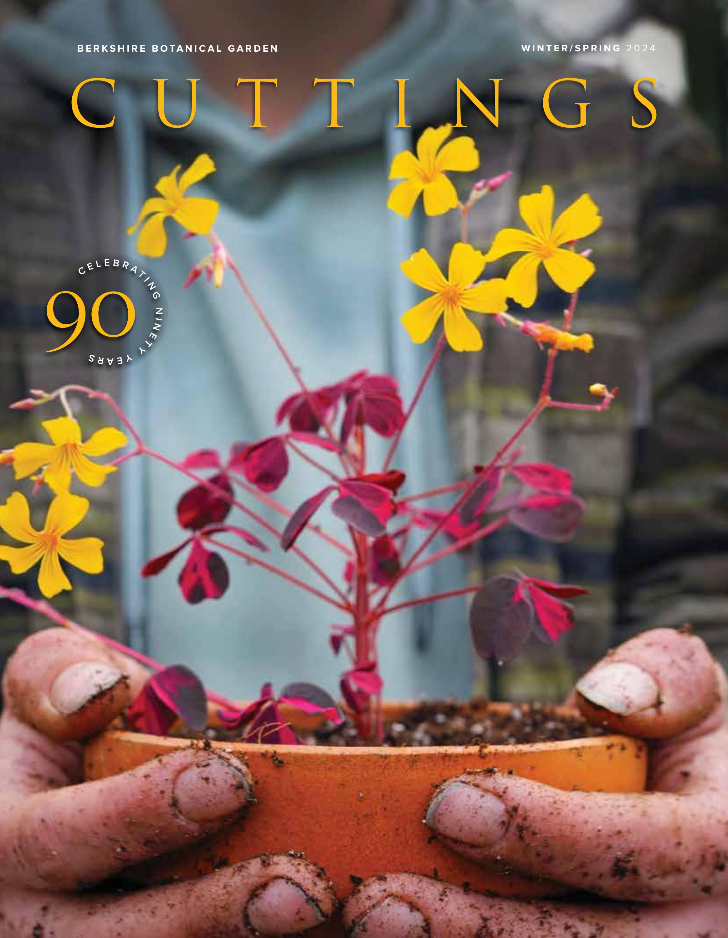 Cuttings — Winter/Spring 2024 by Berkshire Botanical Garden - Issuu
