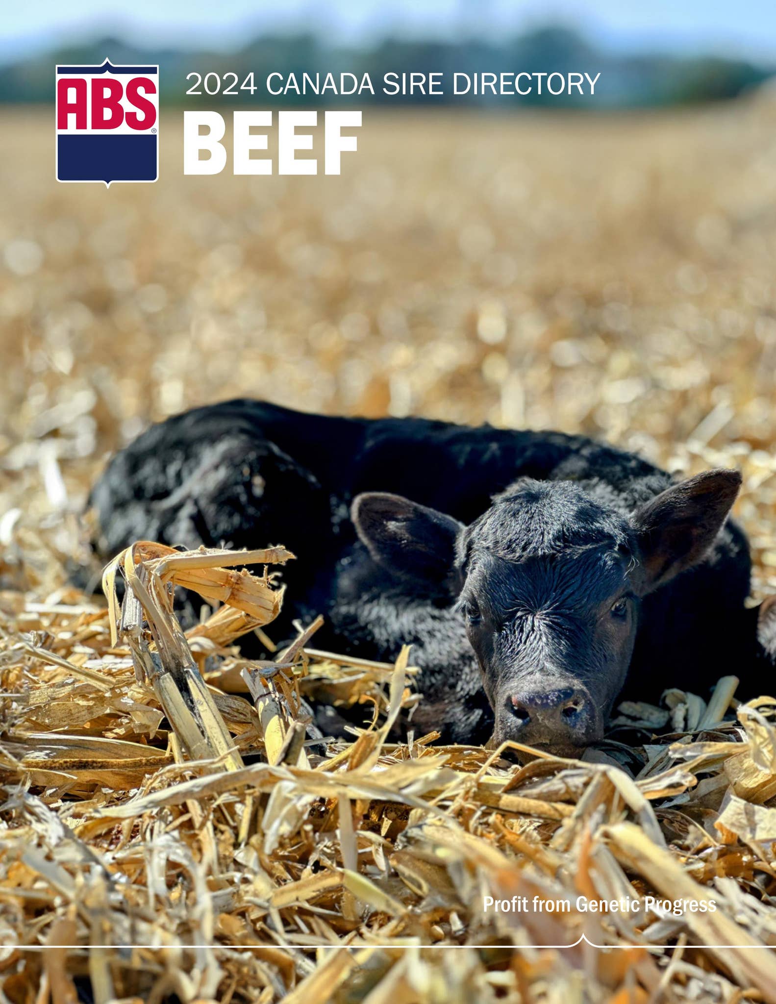 2024 Beef Canada Sire Directory by ABS Global, Inc. - Issuu