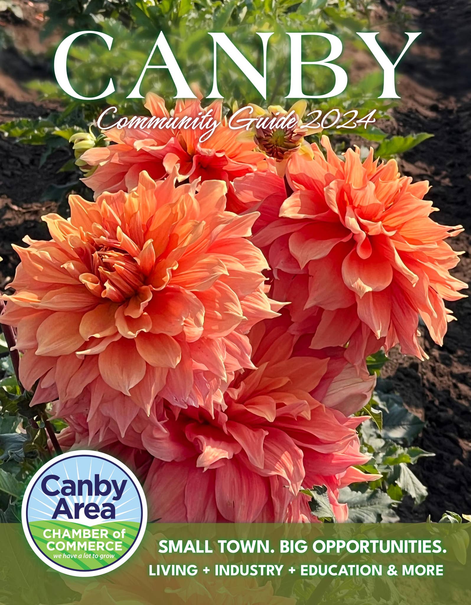 Canby Community Guide 2024 by MAP Publications - Issuu