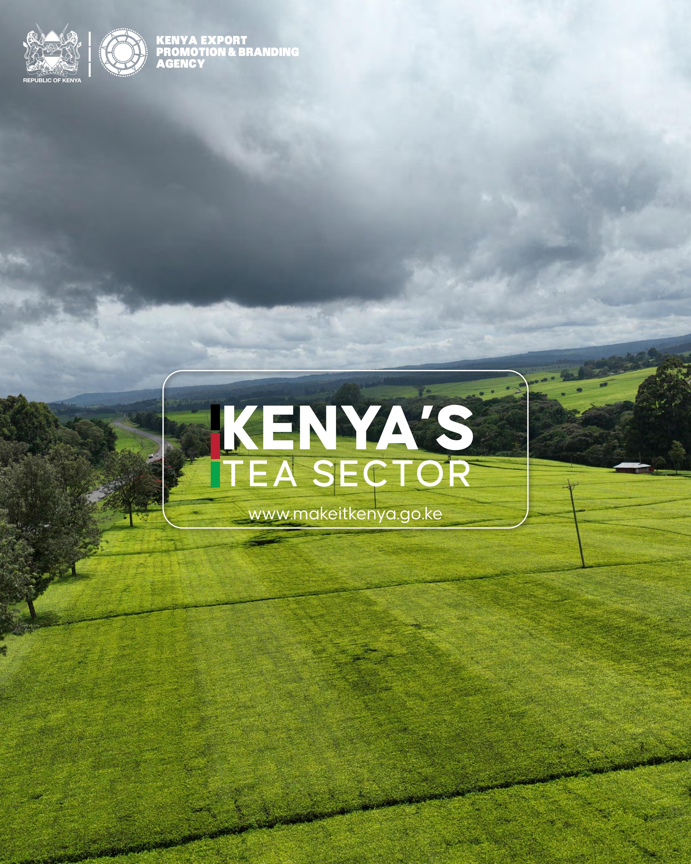 KENYA'S TEA SECTOR by MakeItKenya - Issuu