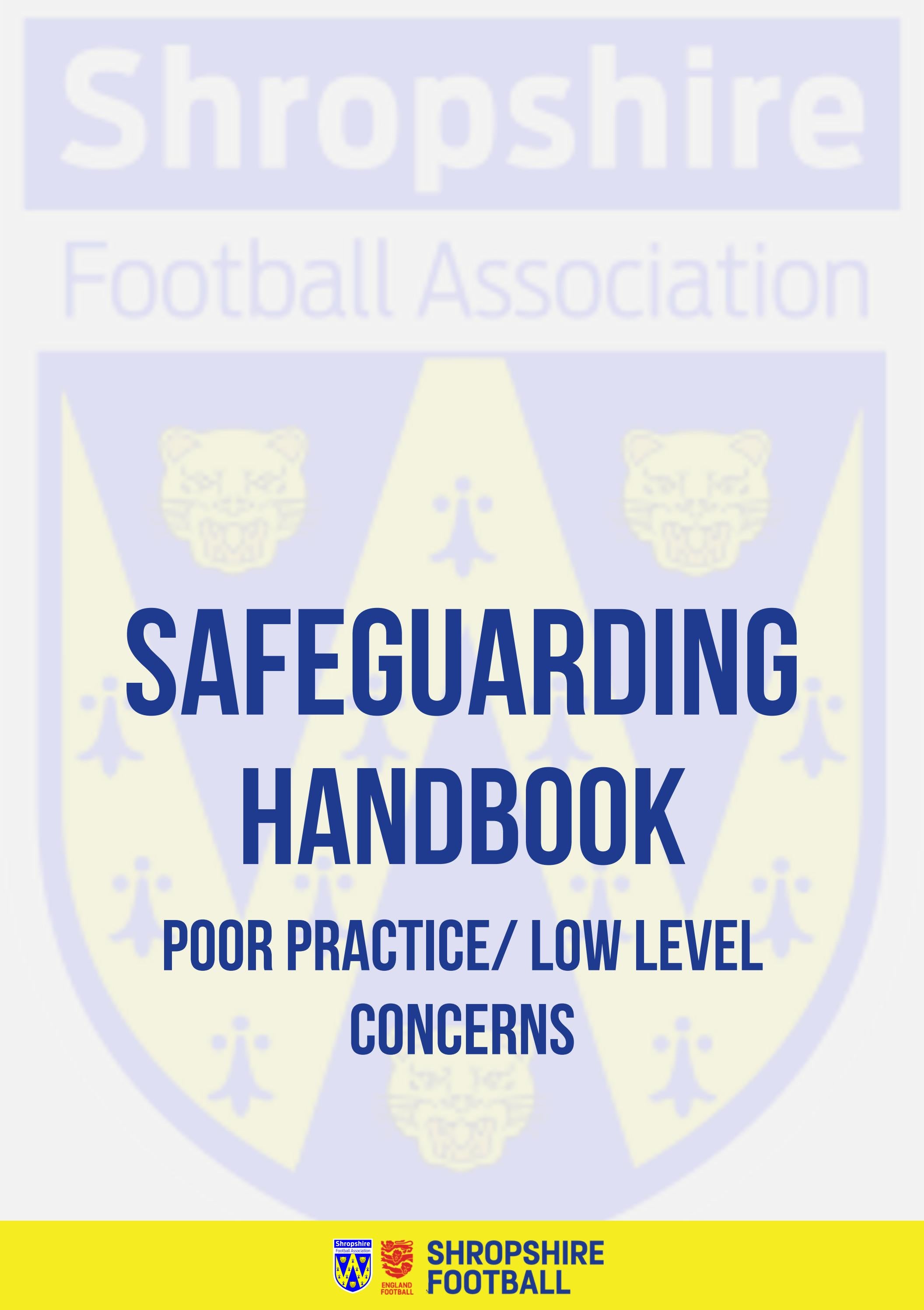 LLC PP Safeguarding Handbook by Shropsfa - Issuu