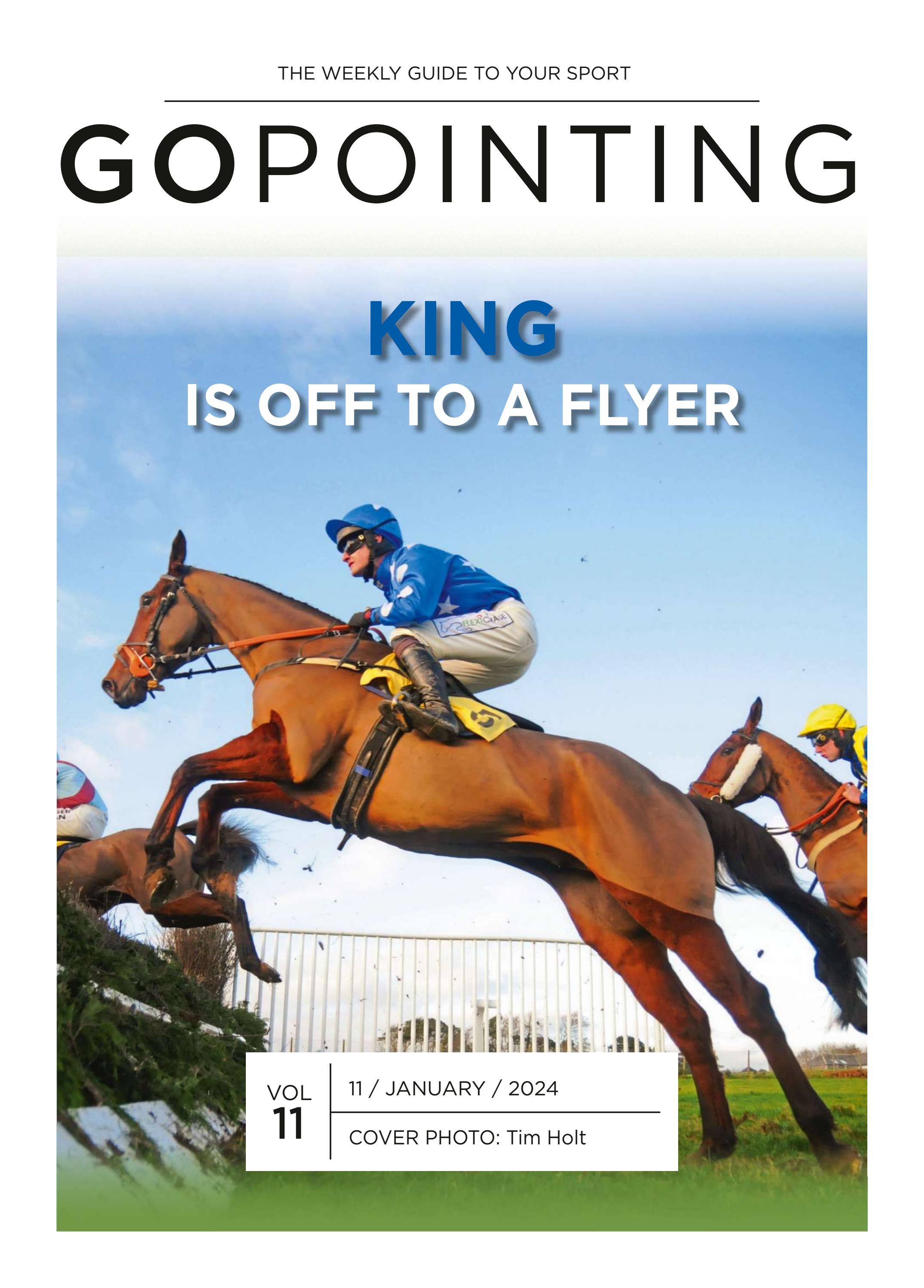 Go Pointing - Vol 11 by GOPOINTING - Issuu