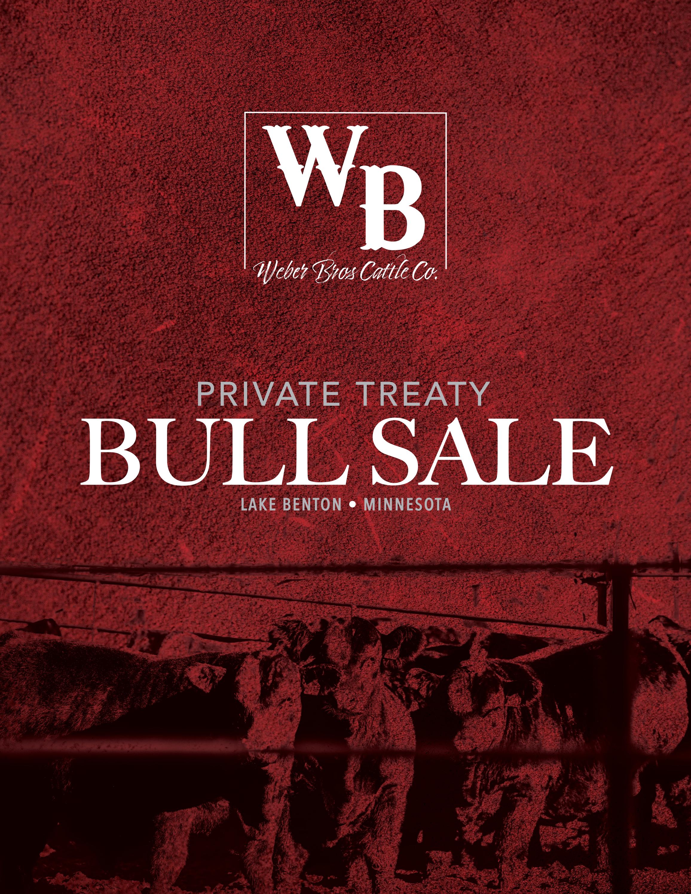 Weber Bros Cattle Co - 2024 Private Treaty Bull Sale by Abbie Cribbs ...