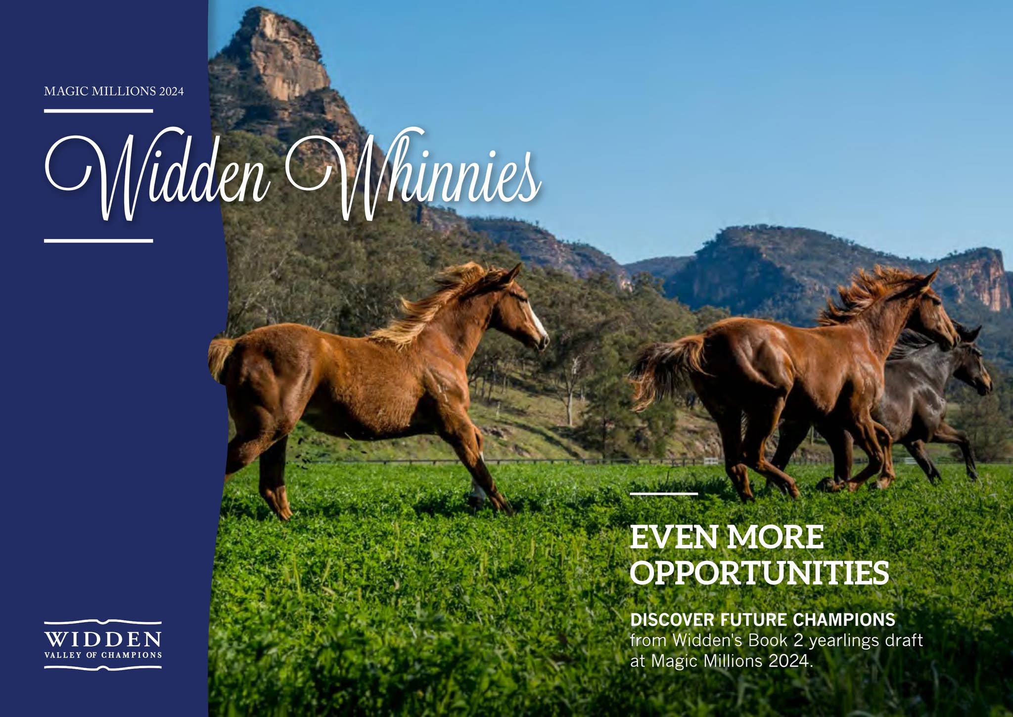 Widden 2024 Magic Millions Book 2 by widdenstud - Issuu