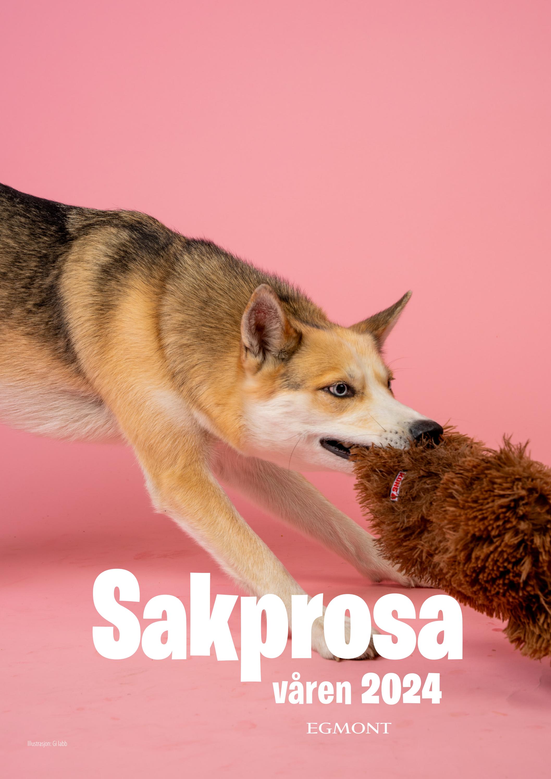 Egmont sakprosa våren 2024 by Egmont Norge - Issuu