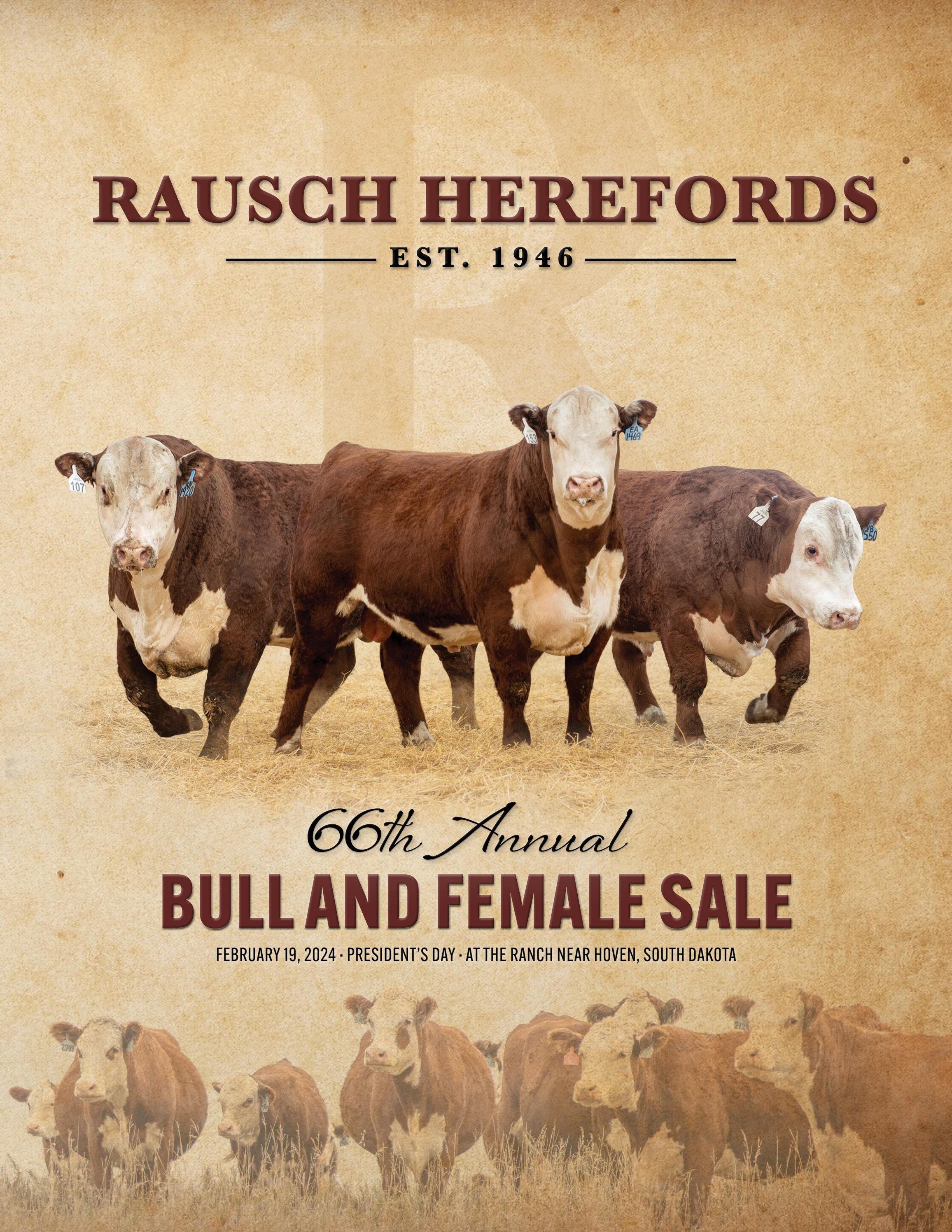 Rausch Herefords Bull & Female Sale | 2024 Catalog by Backroad Creative ...