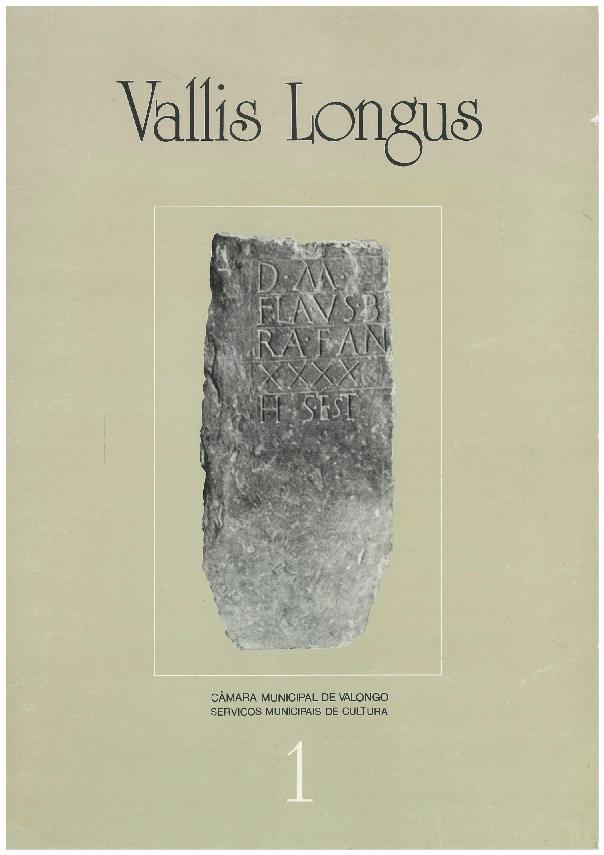 Revista Vallis Longus - 1985 by Município de Valongo - Issuu