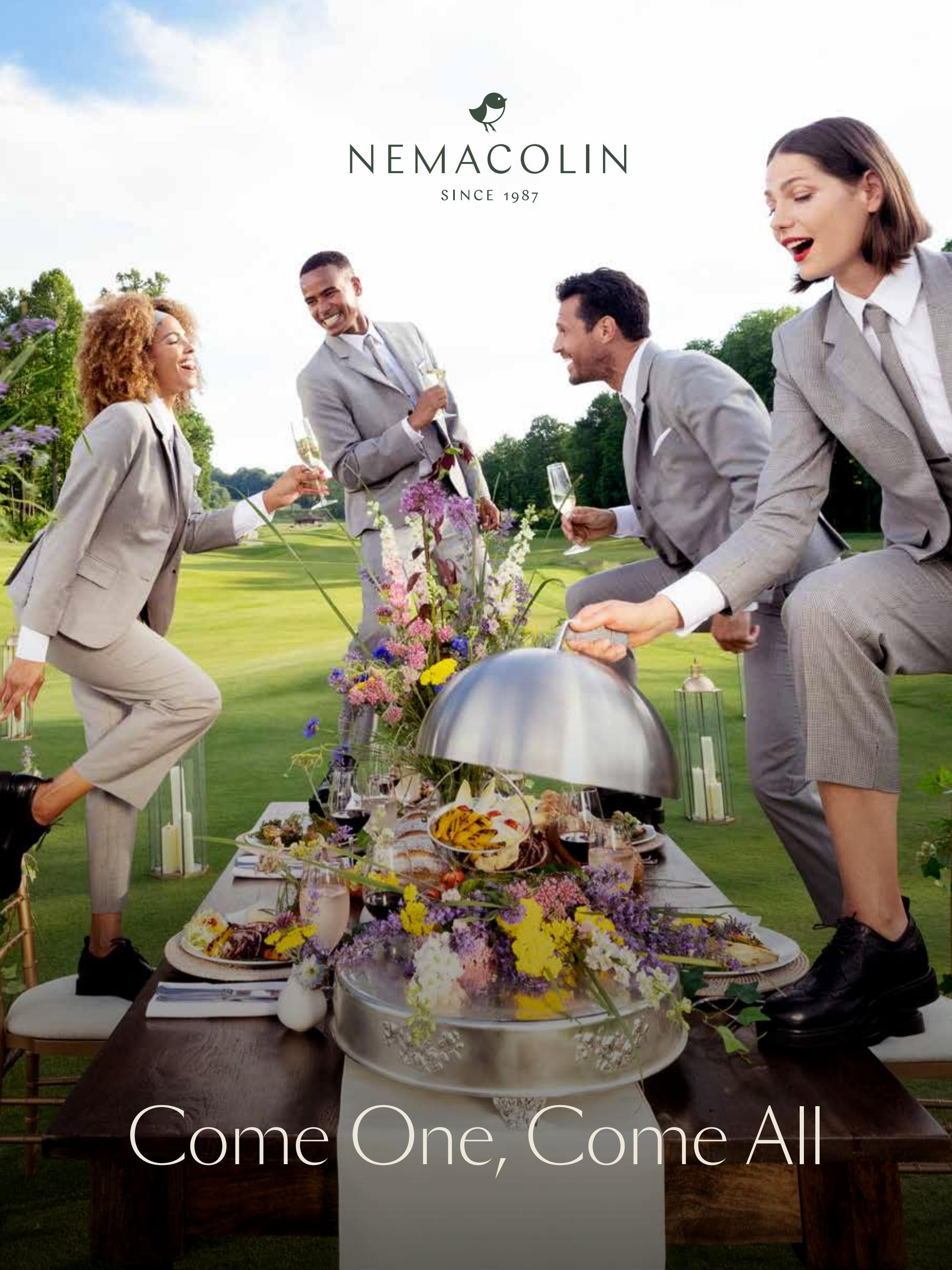 Nemacolin Group Brochure by Nemacolin - Issuu