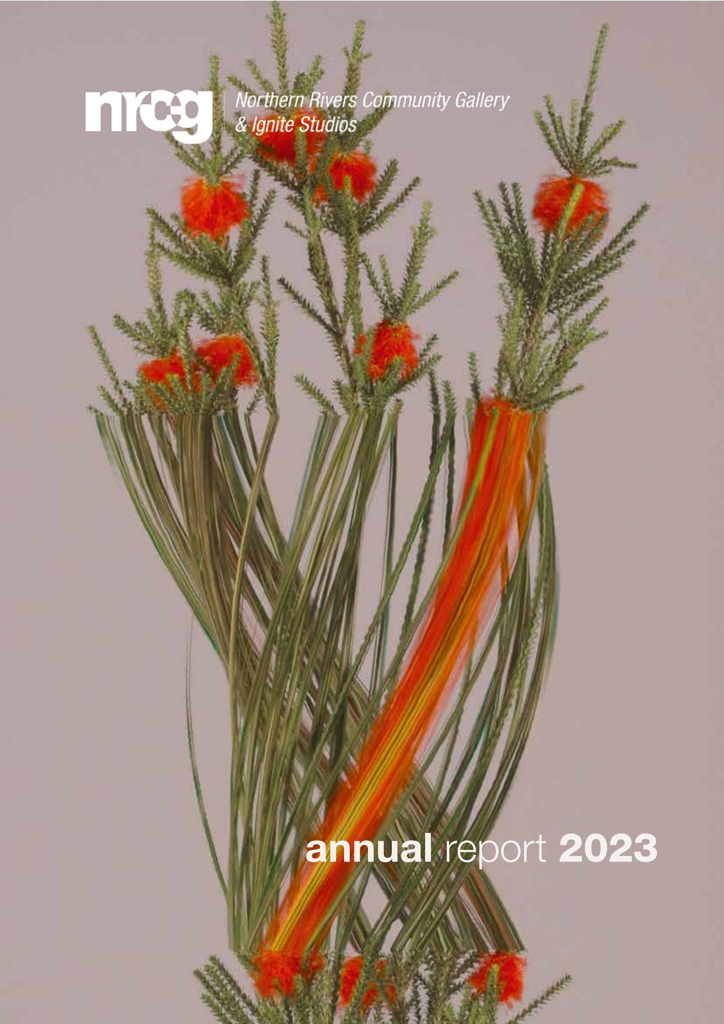 NRCG Annual Report 2023 by Ballina Shire Council - Issuu