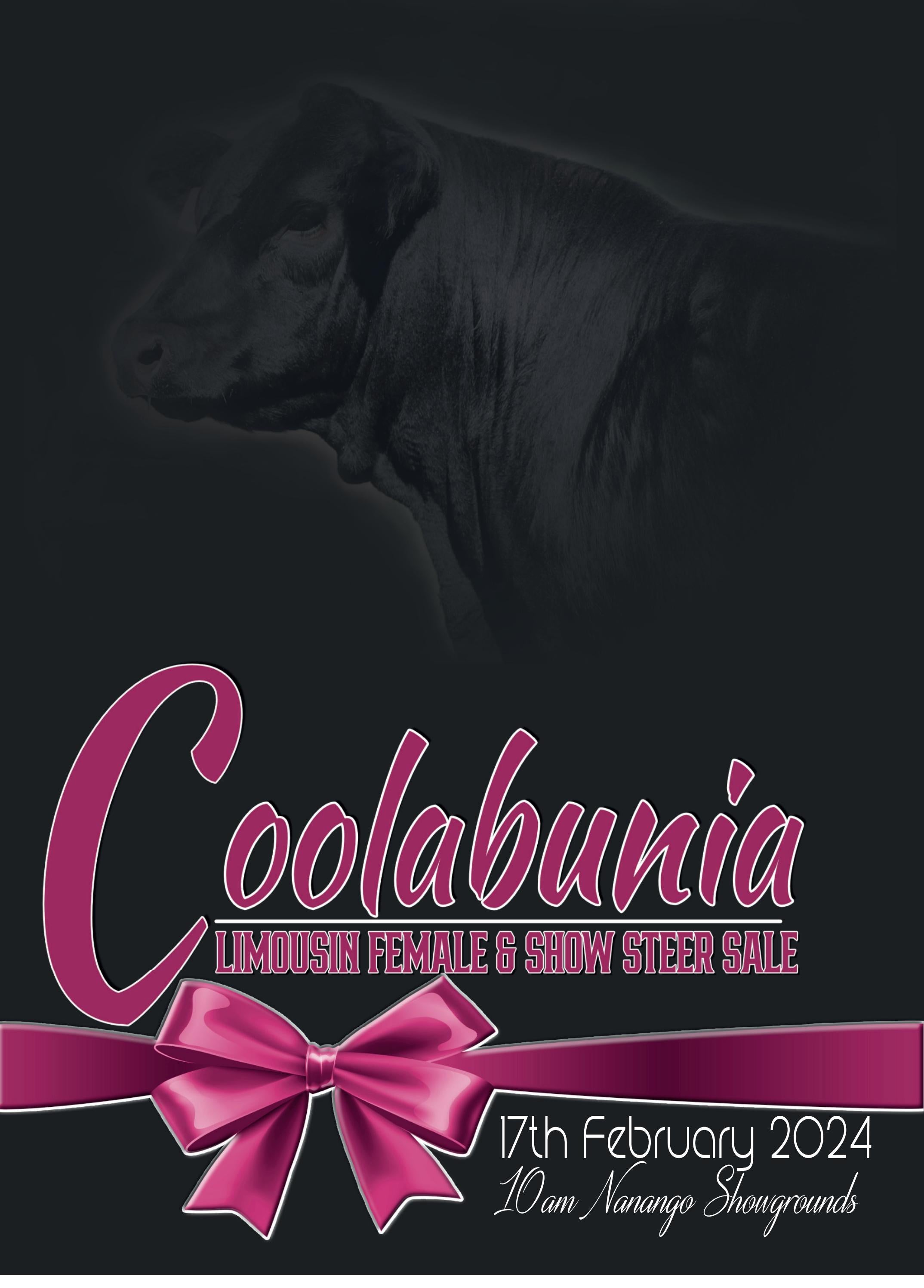 Coolabunia Limousin Female and Show Steer Sale 2024 by Five Star ...