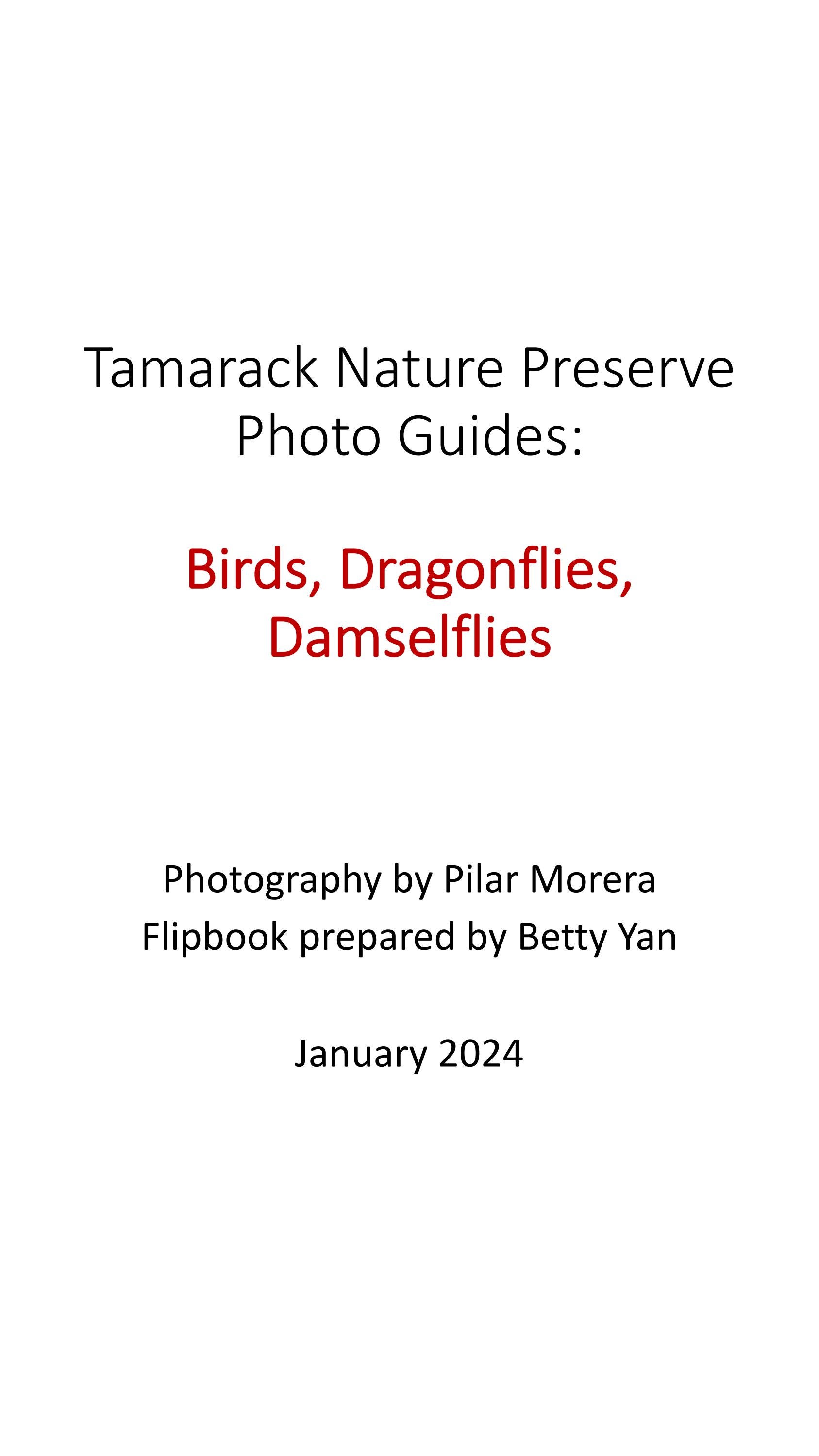 Tamarack NP photo guides - Bird, dragonfly, damselfly by ...