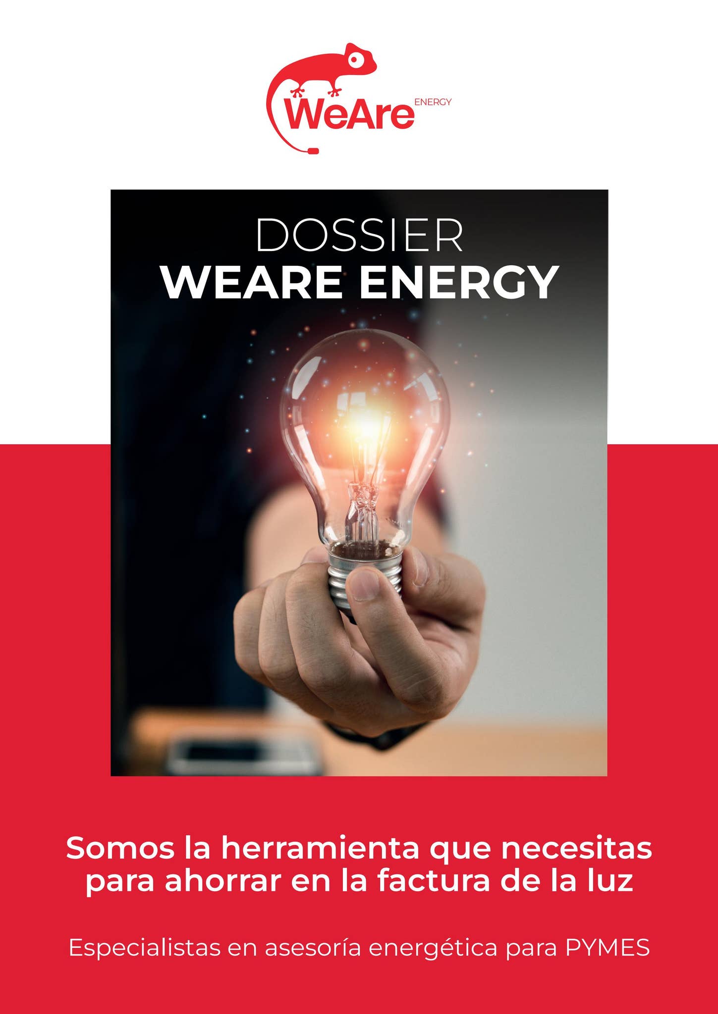Dossier We Are Energy by Grupo Ecotisa - Issuu