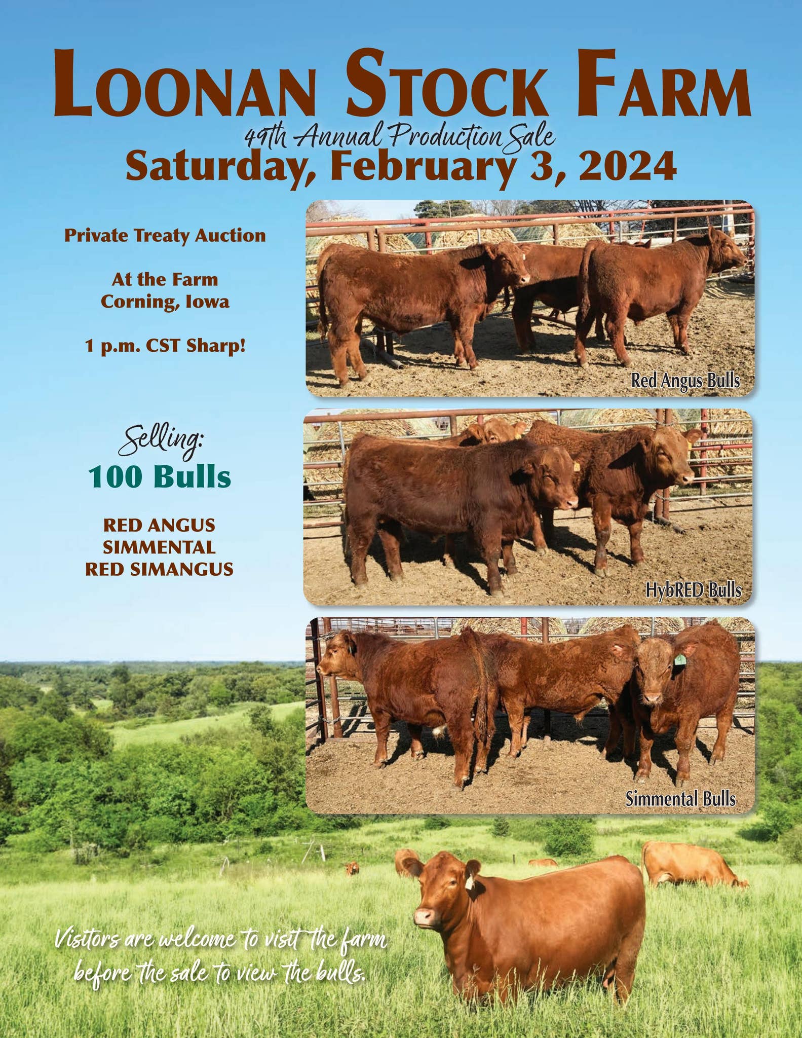 Loonan Stock Farm 49th Annual Production Sale by LivestockDirect - Issuu