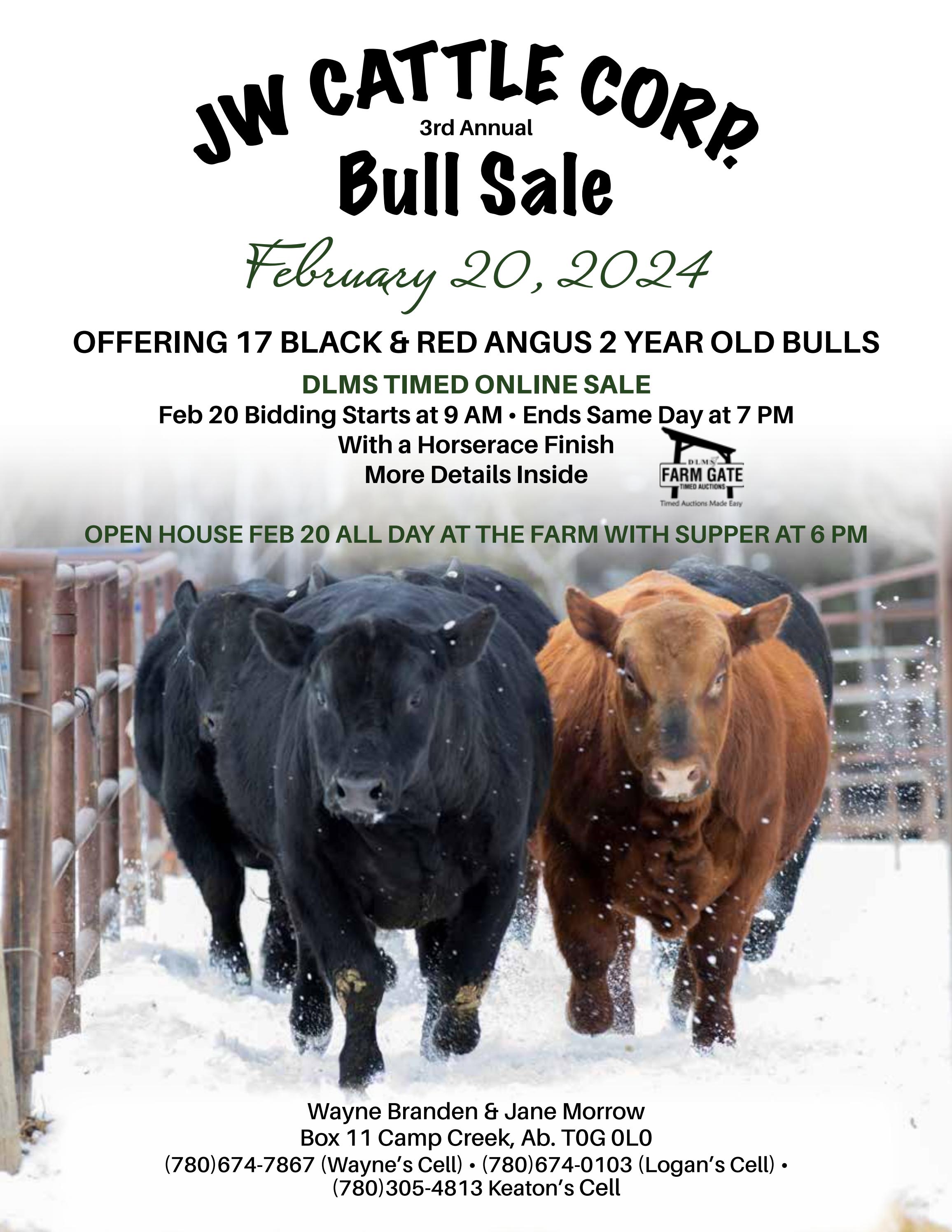 JW Cattle Corp 2024 Bull Sale by DLMS-Cattlevids.ca - Issuu