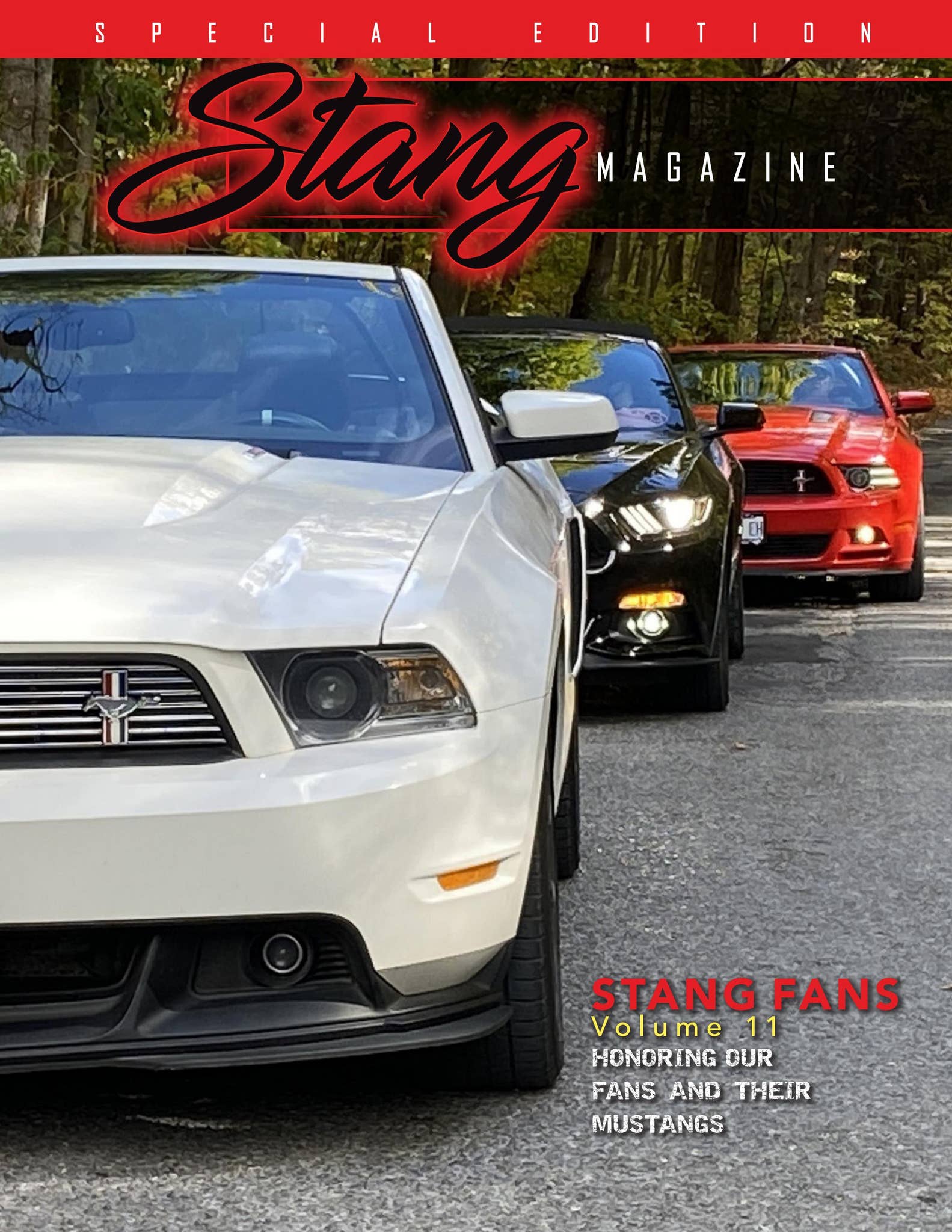 STANG Magazine Special Edition: STANG Fans Volume 11 by STANG Magazine ...