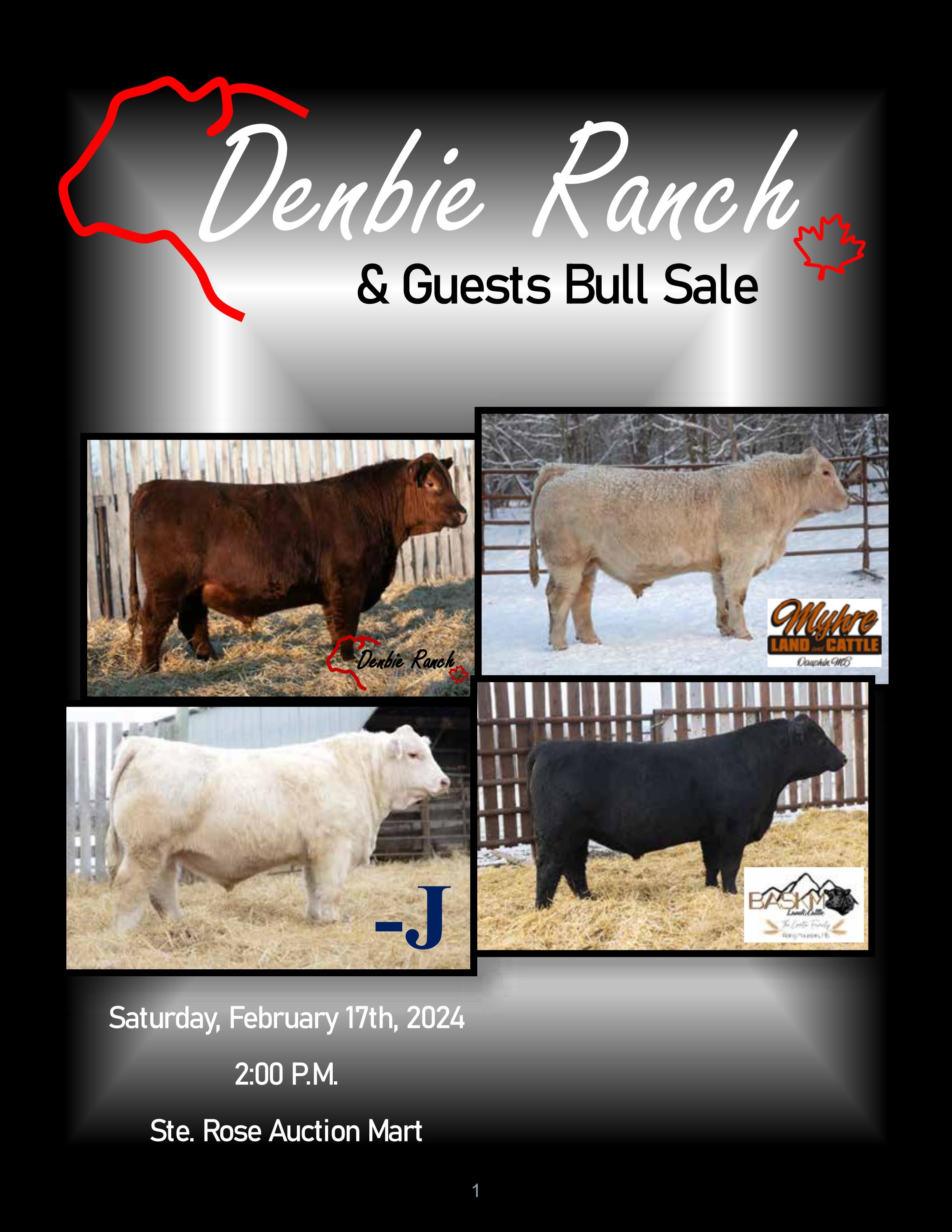 Denbie Ranch Bull Sale with Guests Myhre Land & Cattle, Bar J Charolais ...