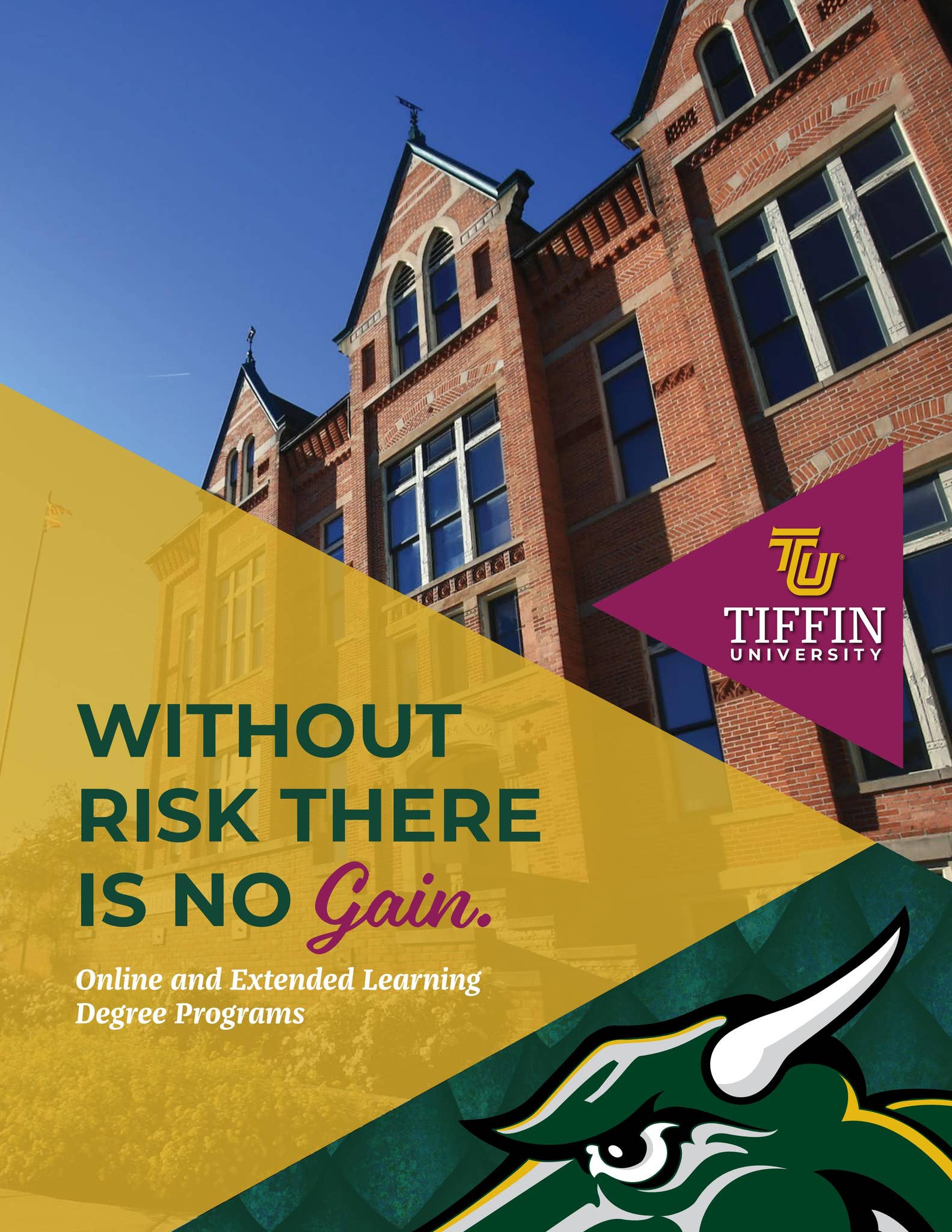 OEL Viewbook 2023 by Tiffin University - Issuu