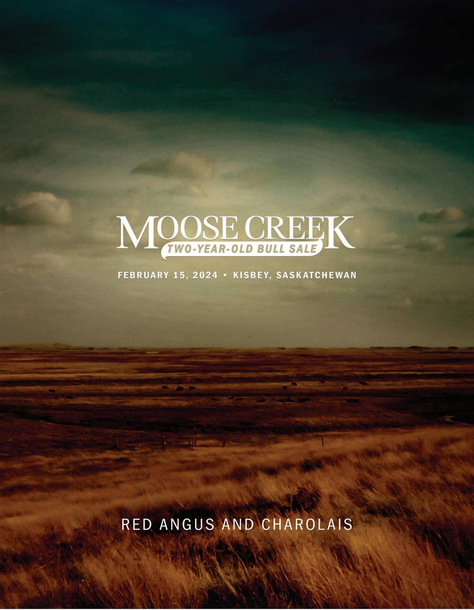 MOOSE CREEK RED ANGUS TWO YEAR OLD BULL SALE by Today's Publishing Inc ...