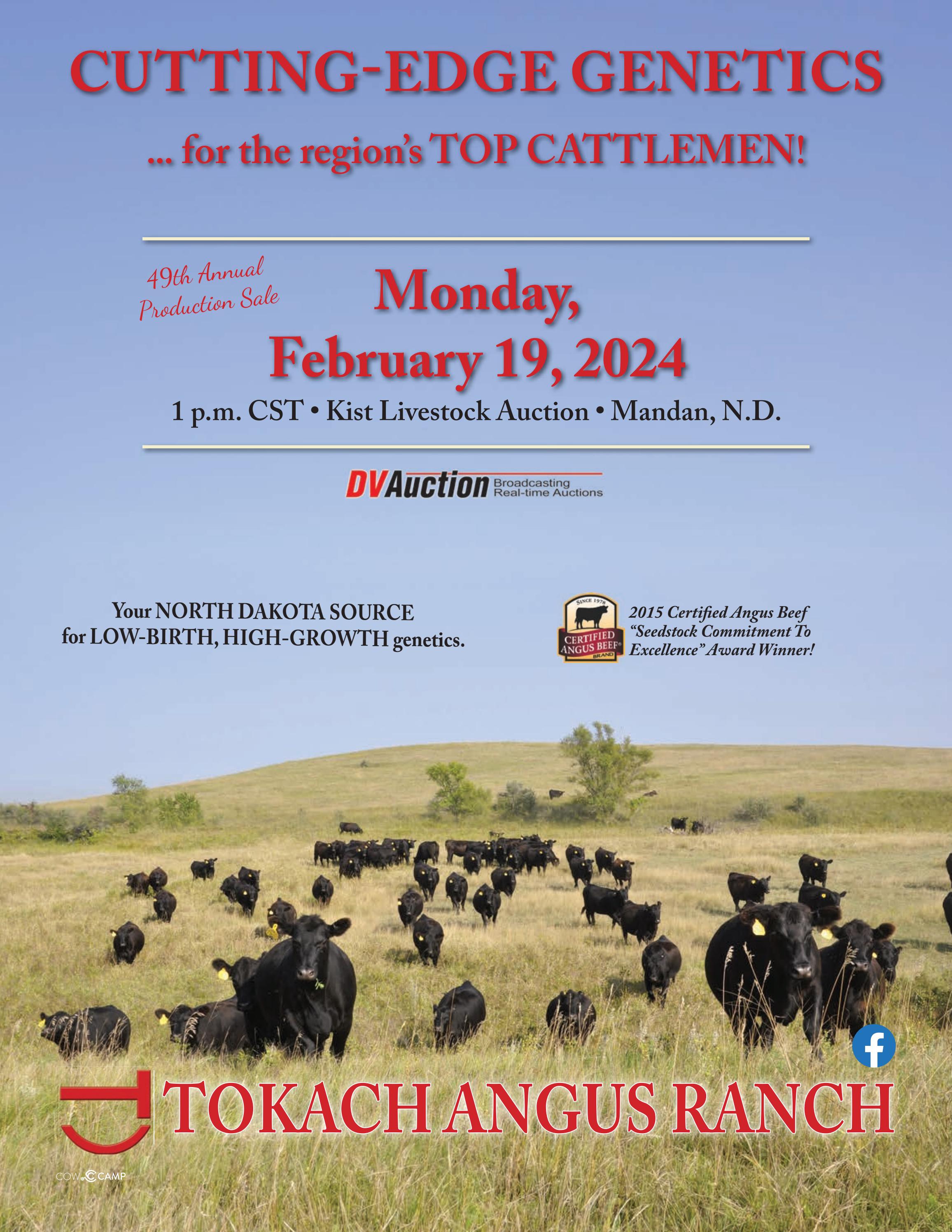 Tokach Angus Ranch - 2024 Spring Production Sale Catalog by ...
