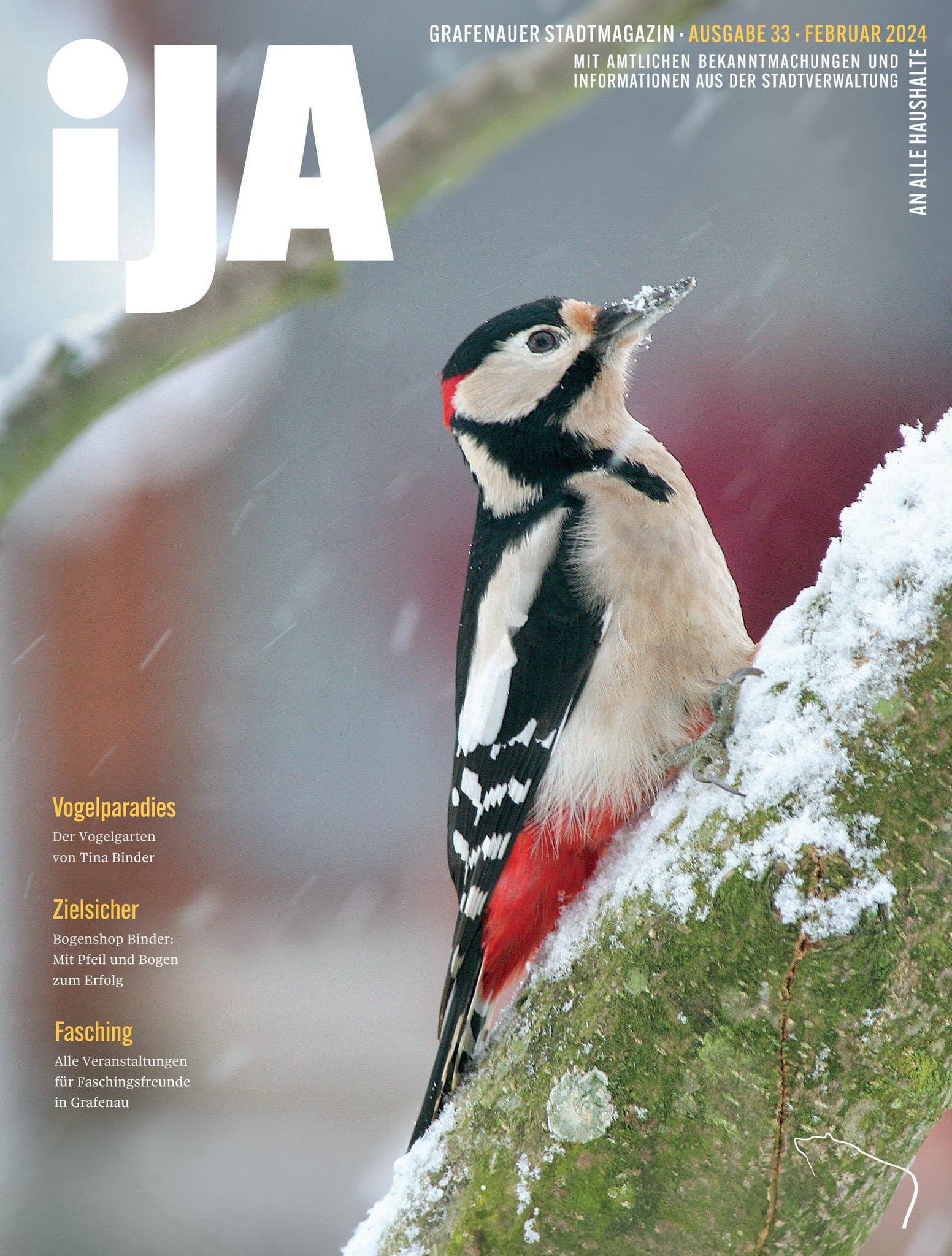 iJA 33 Februar 24 by ui Hauzenberg - Issuu