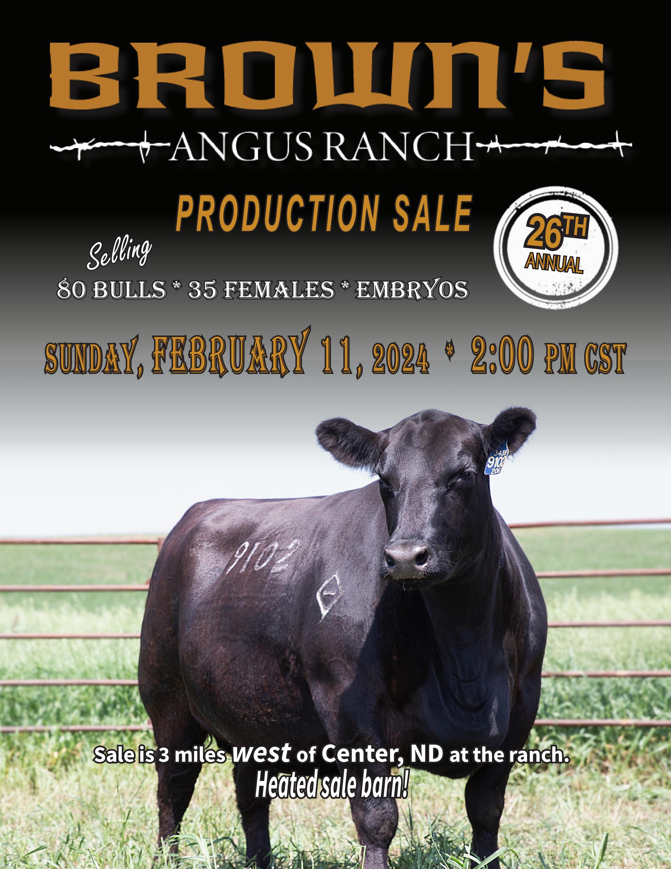 Brown's Angus Ranch Sale Catalog 2024 by PeltonLivestock - Issuu