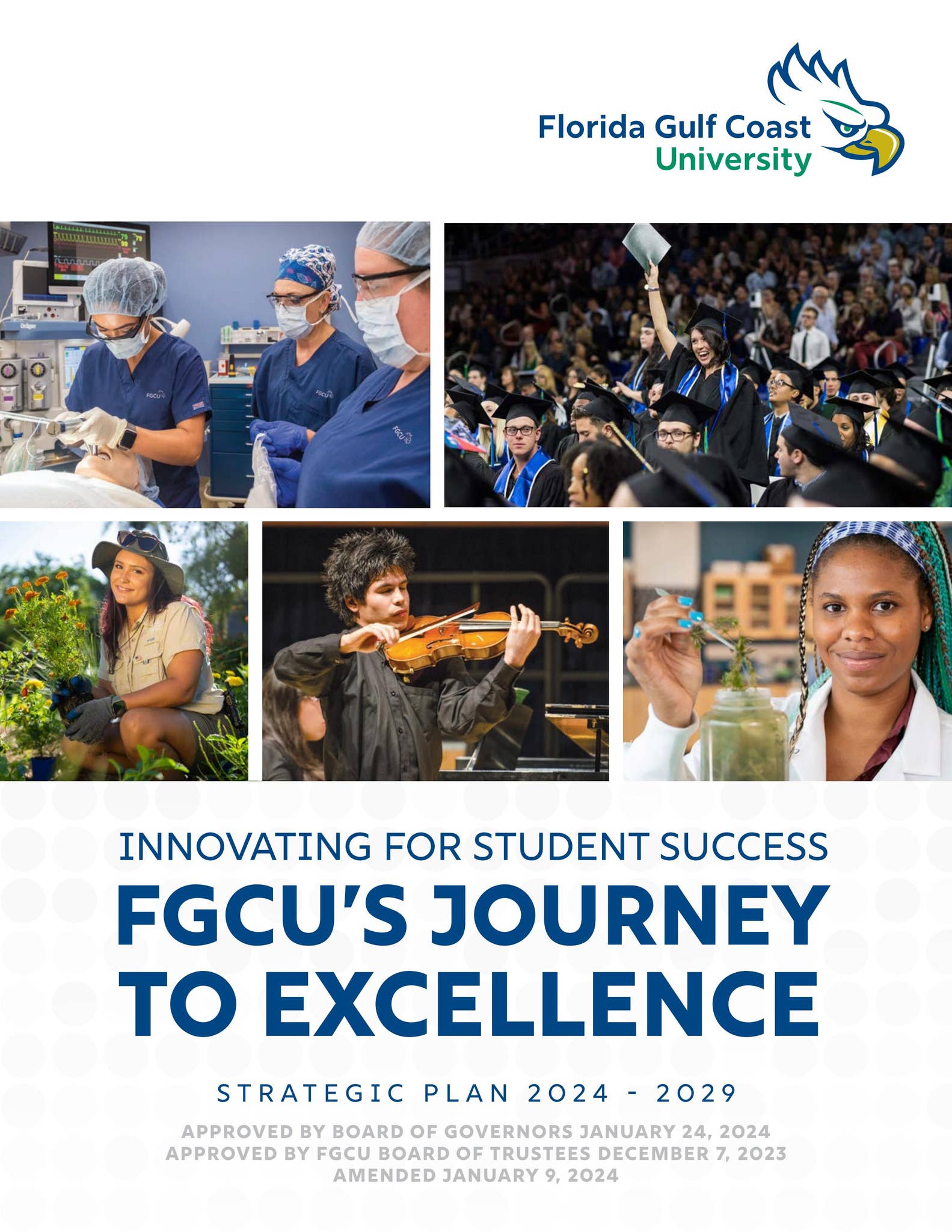 Strategic Plan - 2024 - 2029 by Florida Gulf Coast University - Issuu