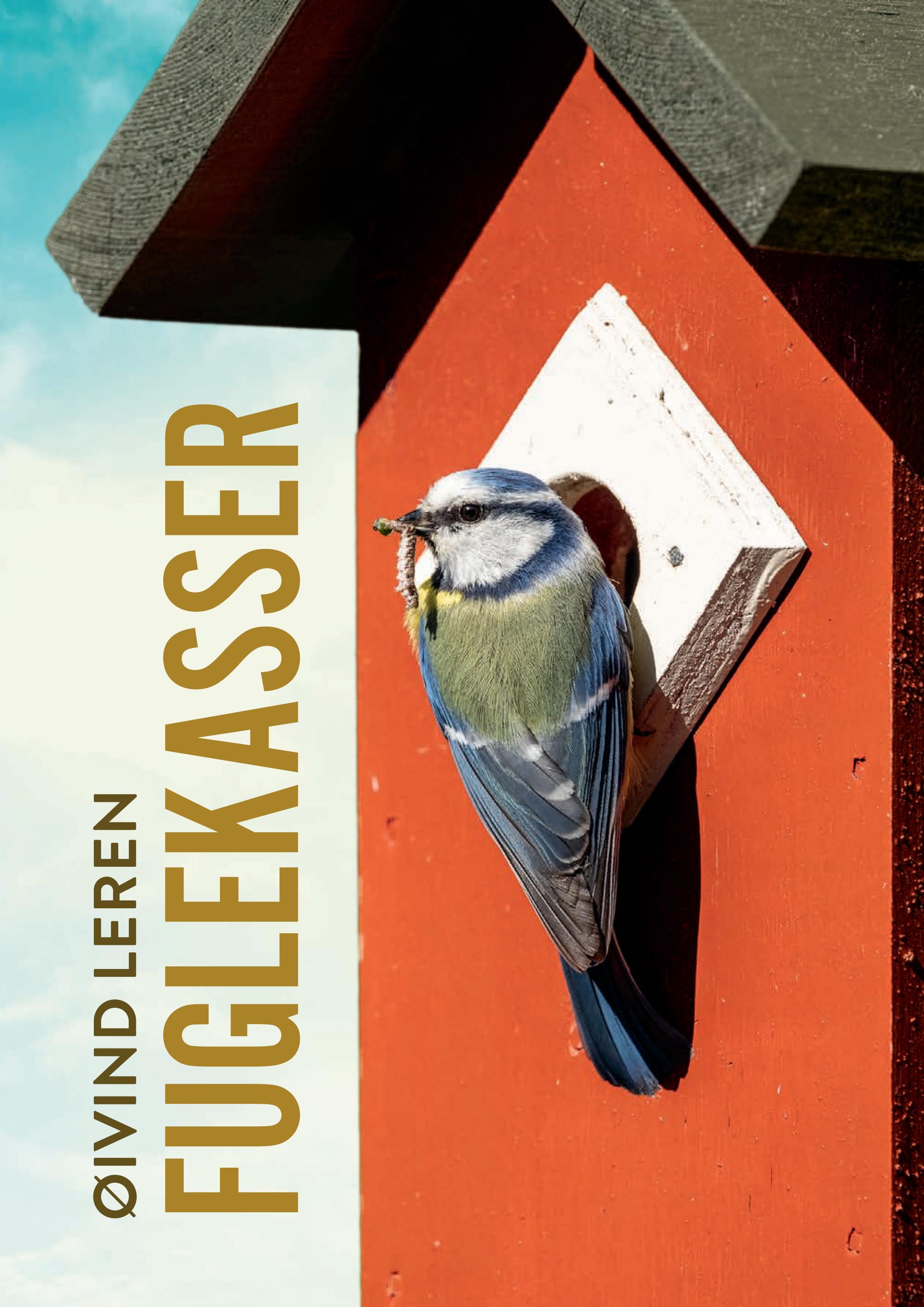 Fuglekasser by Gyldendal Norsk Forlag - Issuu