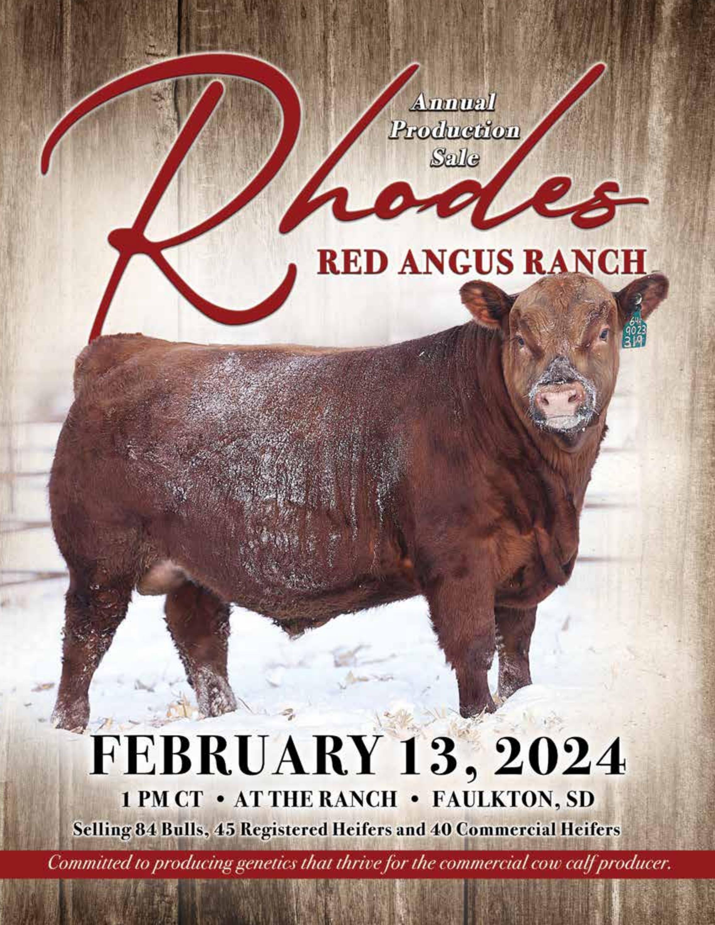 Rhodes Red Angus Ranch by Castlerock Marketing - Issuu