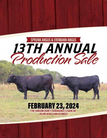 2024 Sprunk Angus & Erdmann Angus Production Sale. 13th Edition by ...