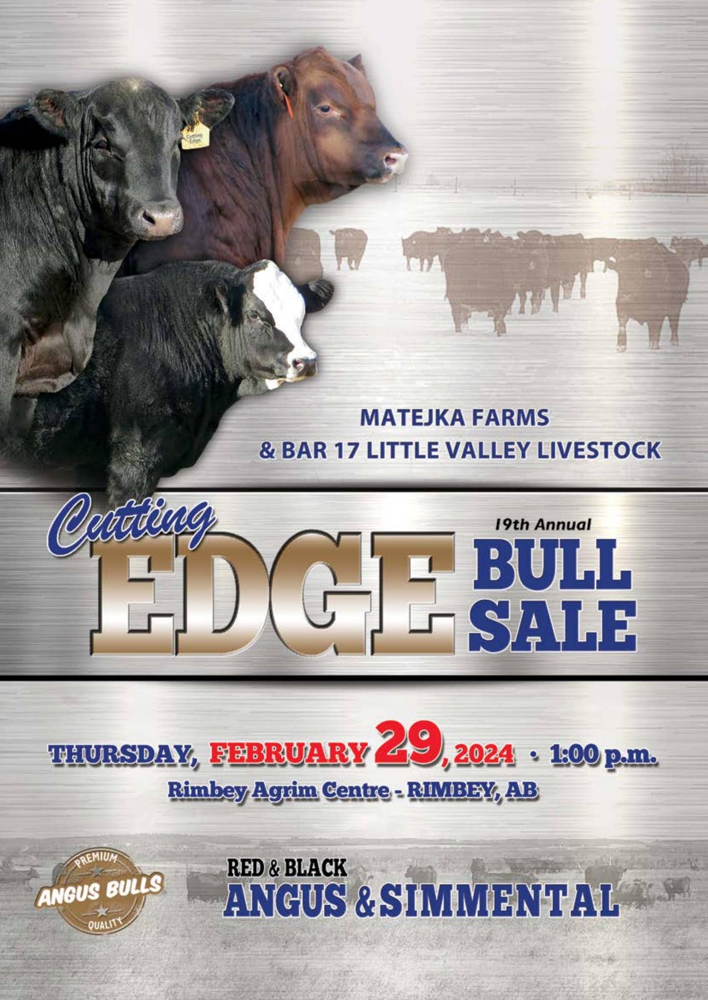 Cutting Edge Bull Sale by Kathy Matejka - Issuu