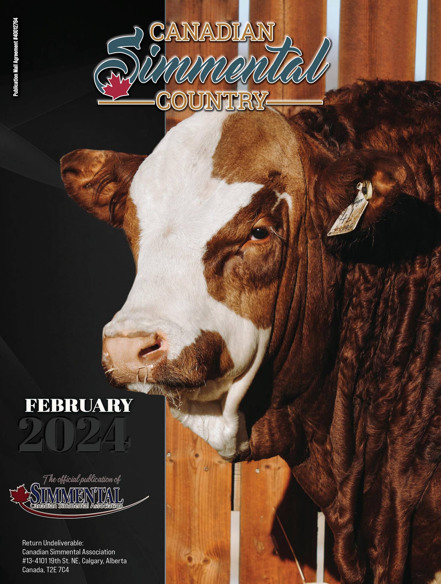 Canadian Simmental Country February 2024 by Today's Publishing Inc. - Issuu
