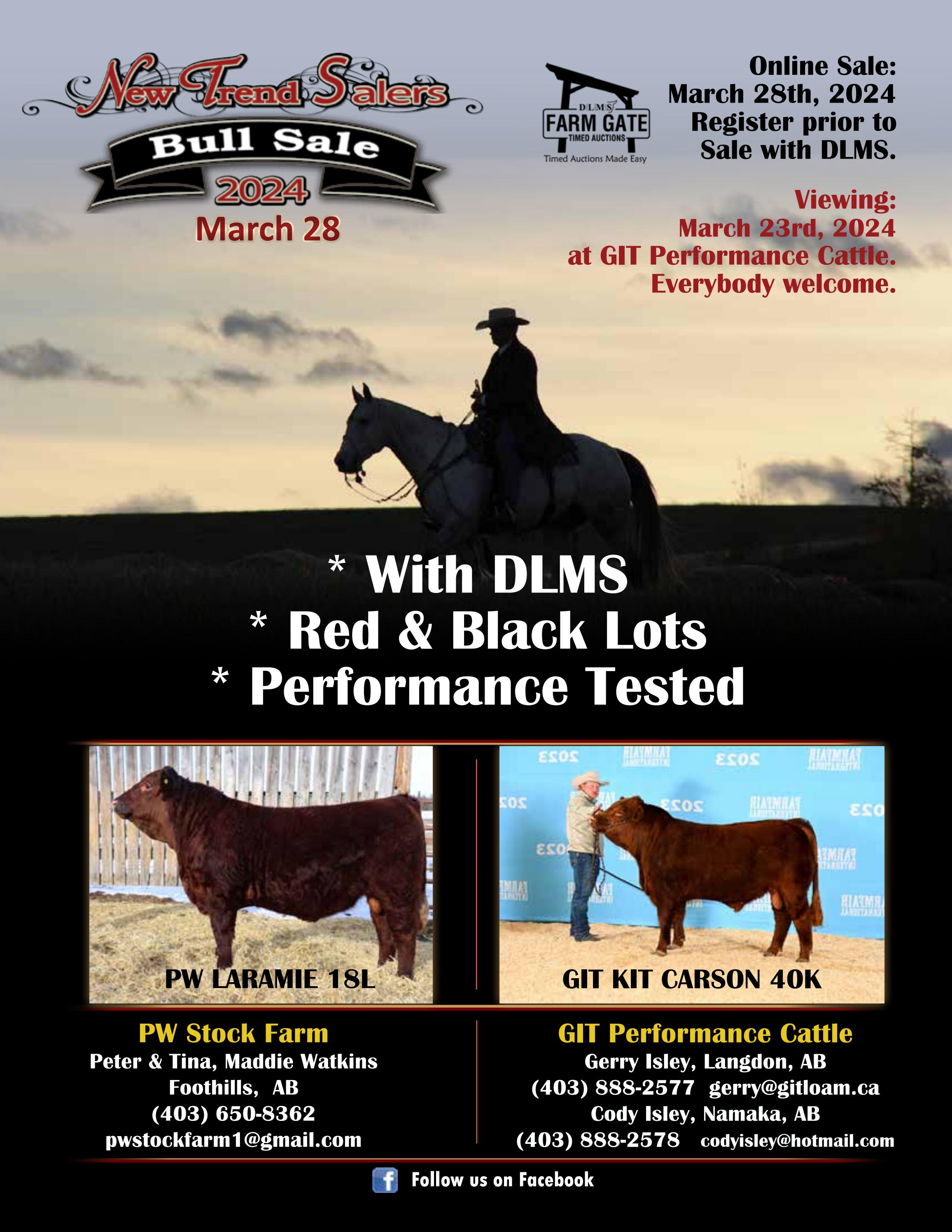 New Trend Salers Bull Sale - DLMS Farm Gate Timed Auctions by DLMS ...