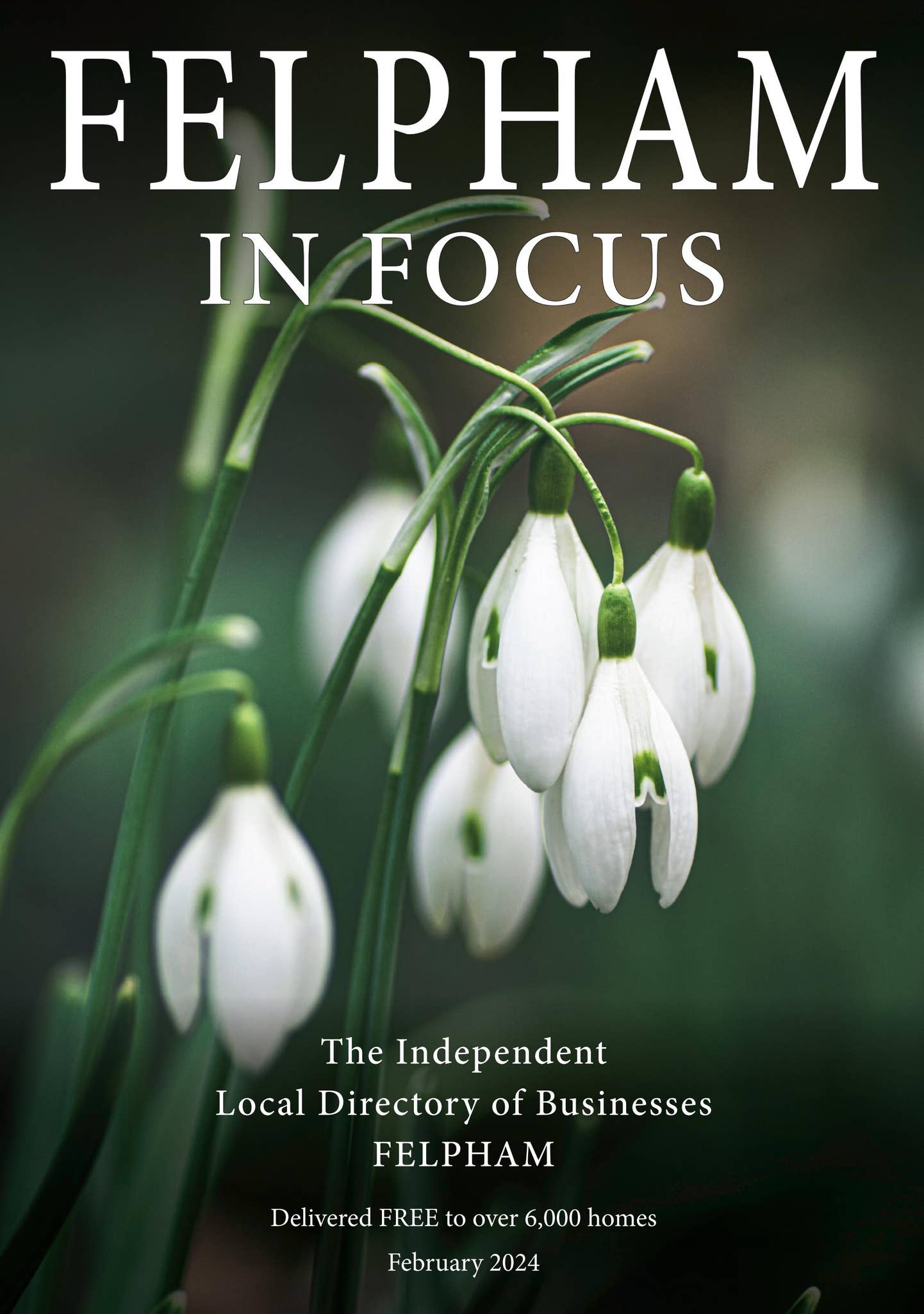 Felpham In Focus February 2024 by InFocus - Issuu