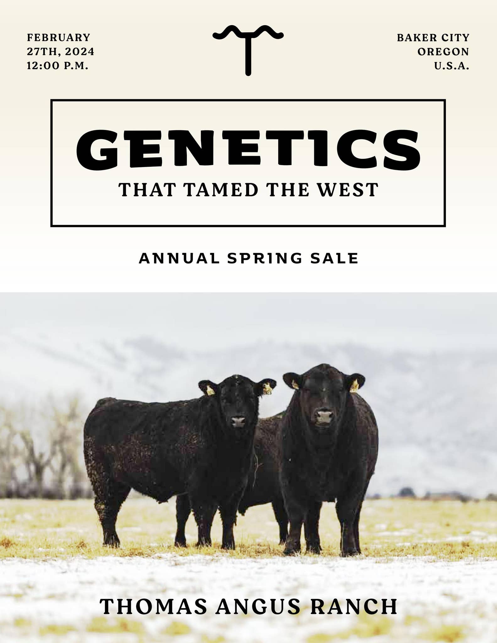 Thomas Angus Ranch Annual Spring Bull & Female Sale - 2024 by ...