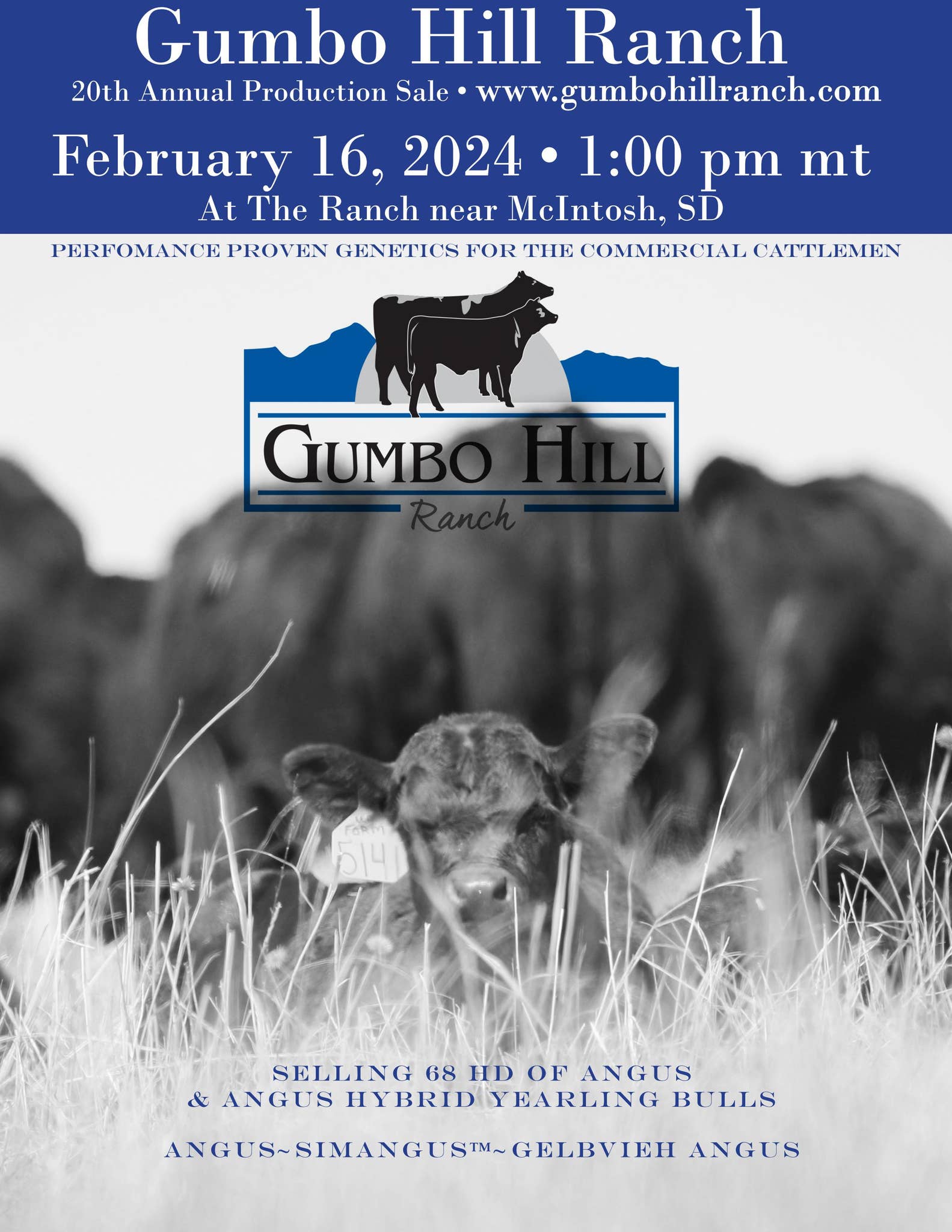 2024 Gumbo Hill Ranch Production Sale by gumbohillranch - Issuu