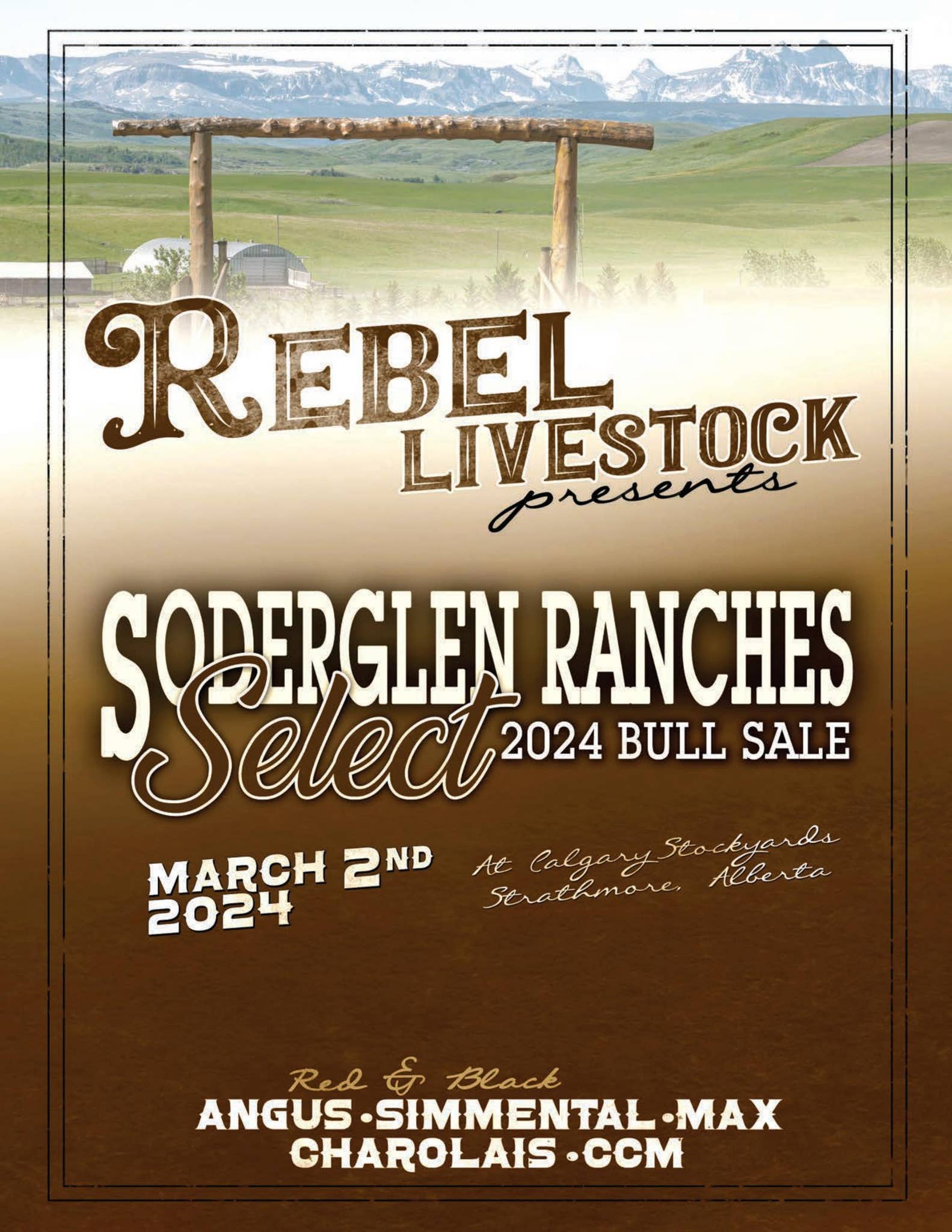 Soderglen Select Bull Sale 2024 Presented by Rebel Livestock - CSY ...