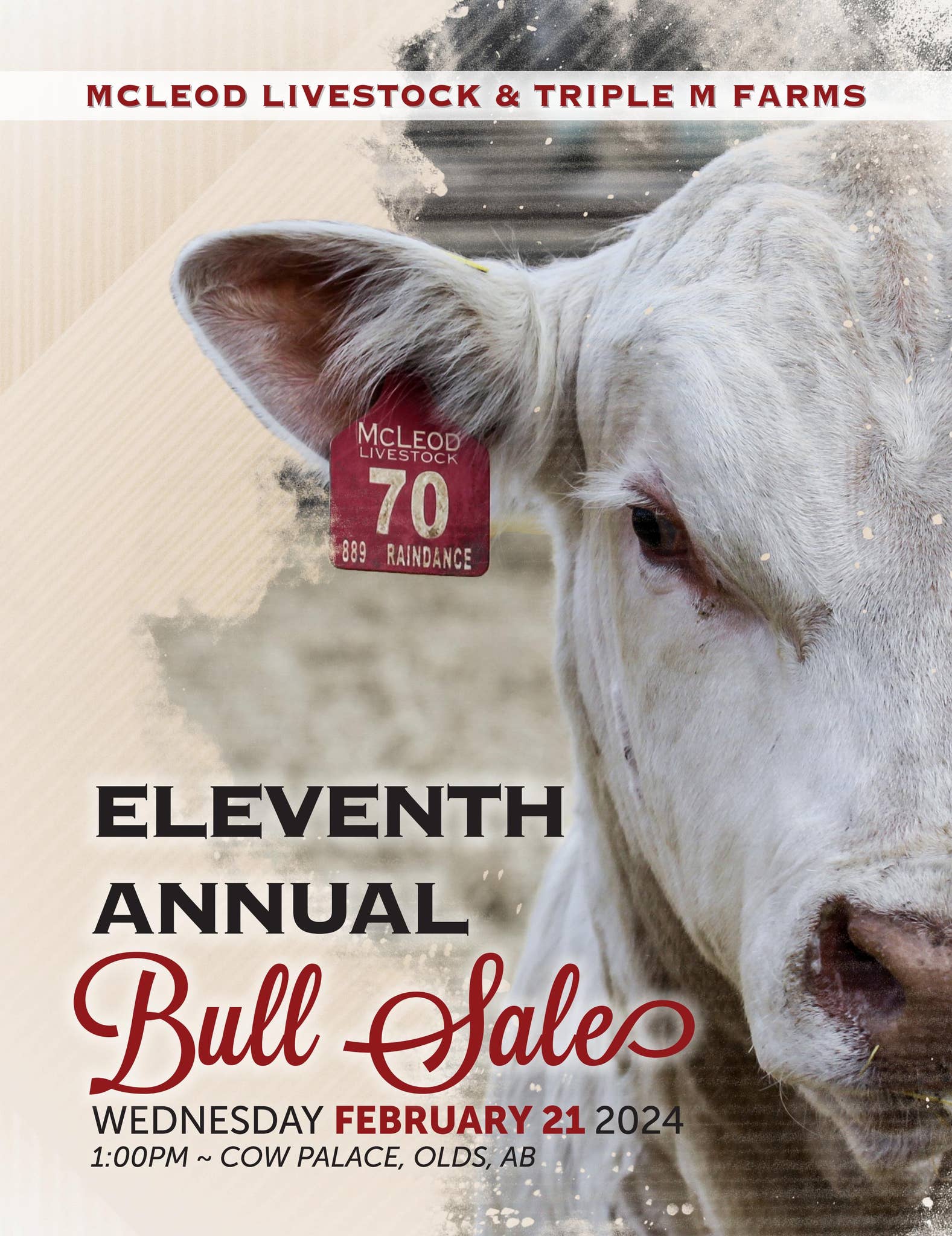 McLeod Livestock 11th Annual Bull Sale 2024 by Bohrson Marketing Services Ltd. - Issuu