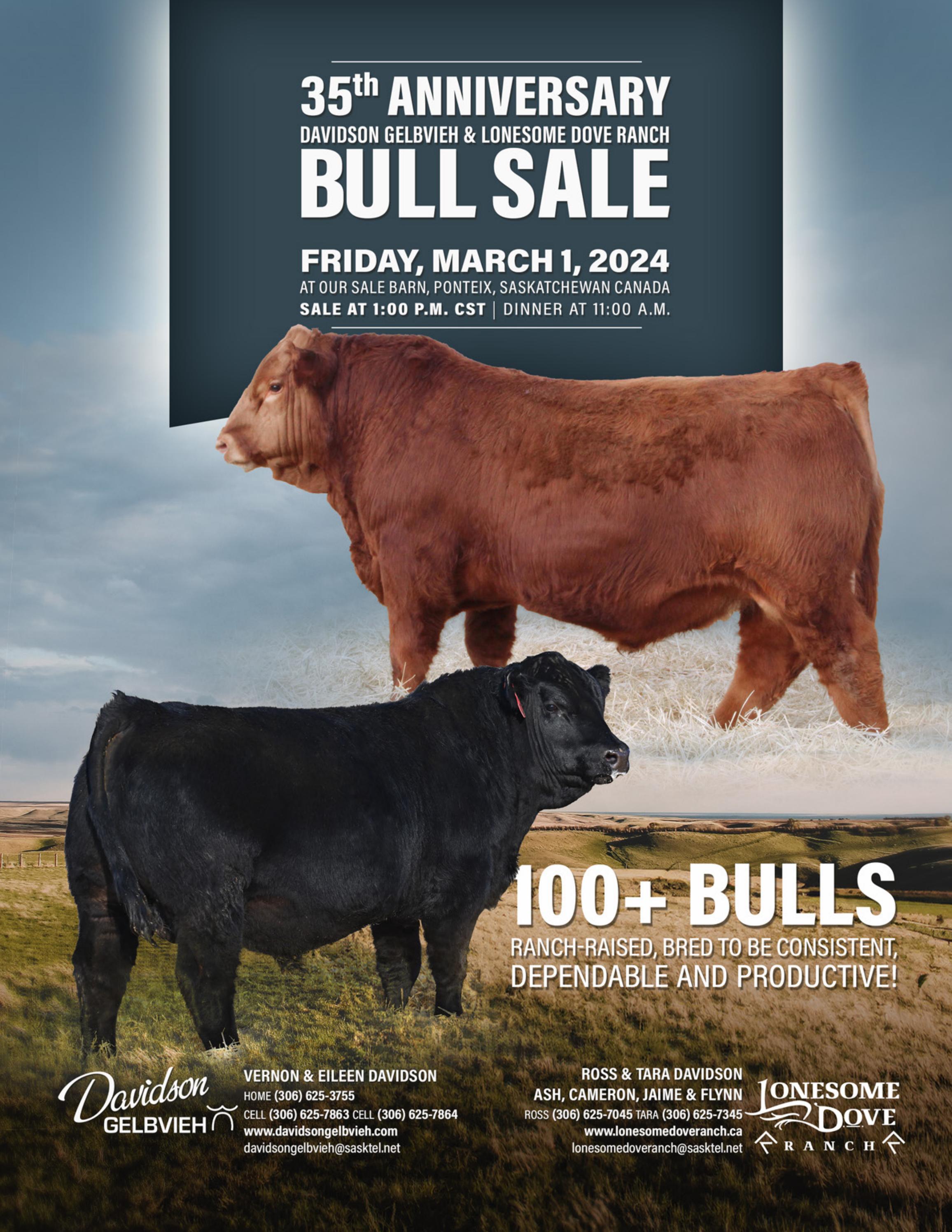 Davidson & Lonesome Dove Gelbvieh Bull Sale 2024 by Bella Spur Creative ...