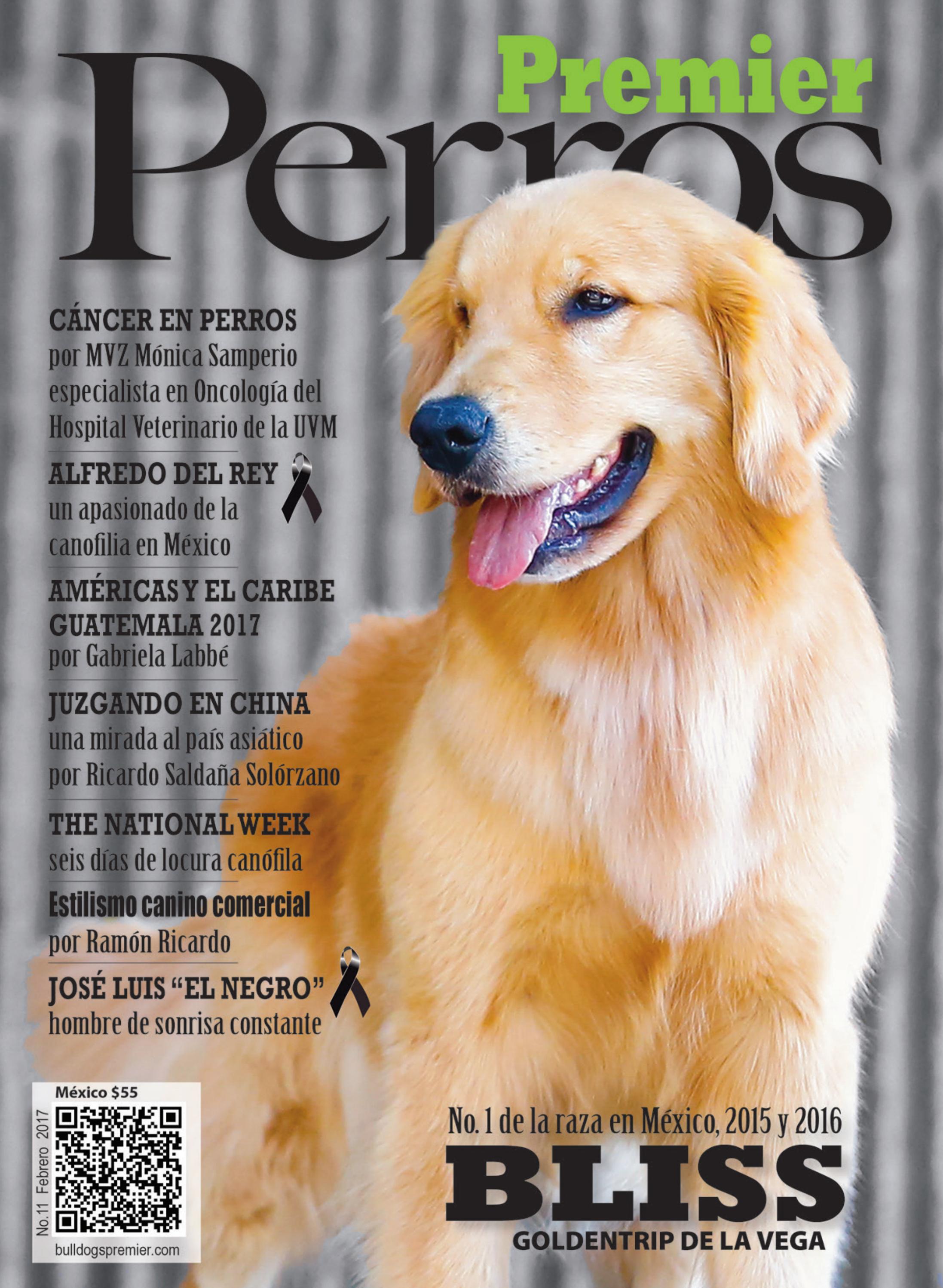 Revista Perros Premier No 11 by Origen - Issuu