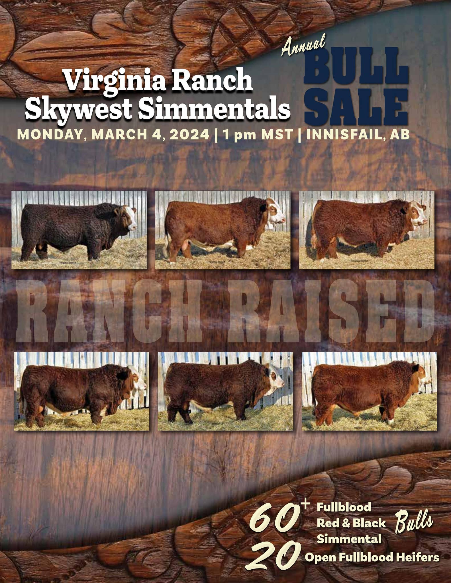 Virginia Ranch and Skywest Simmental Annual Bull and Heifer Sale by ...