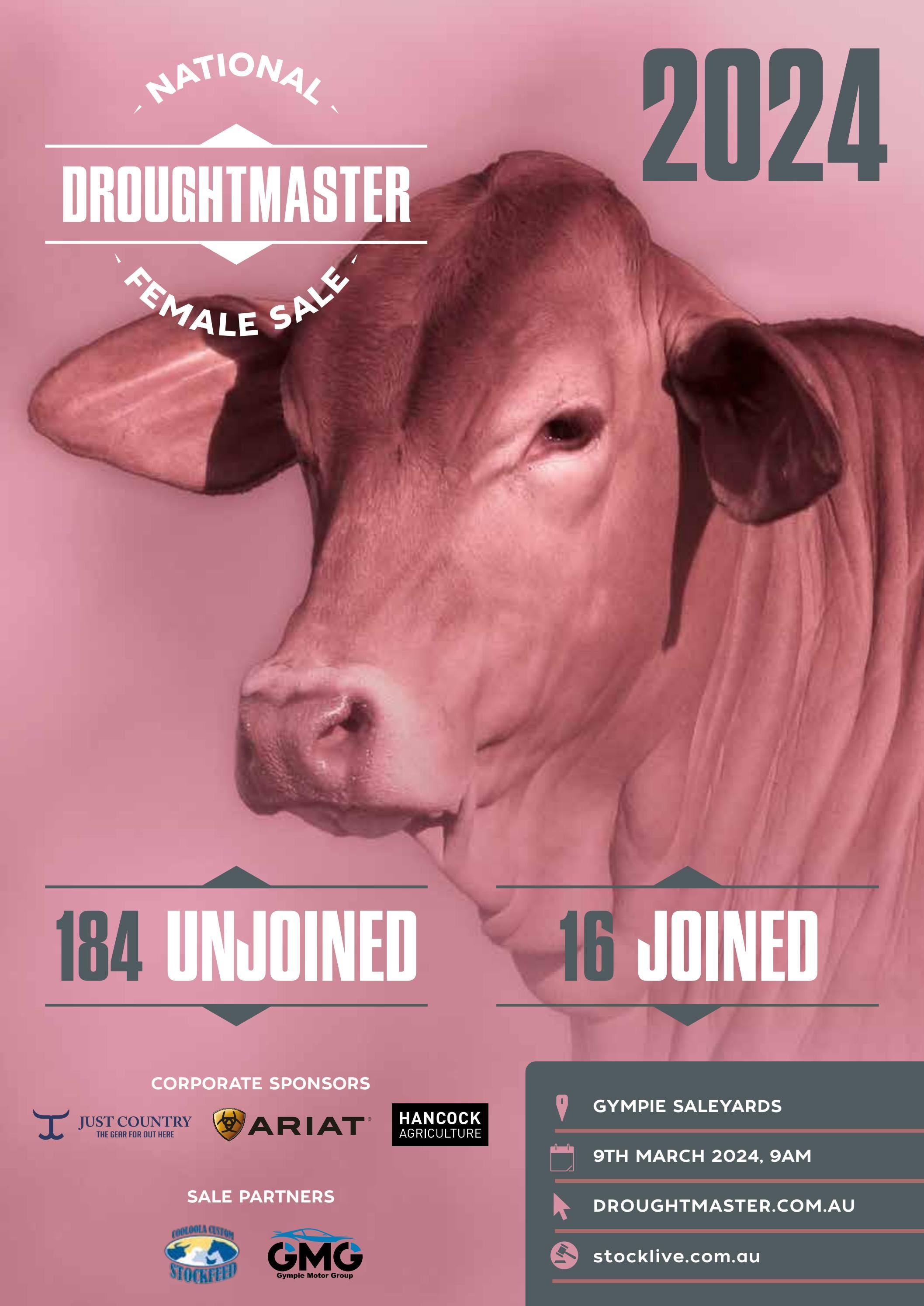 Droughtmaster National Female Sale 2024 Catalogue by Droughtmaster ...