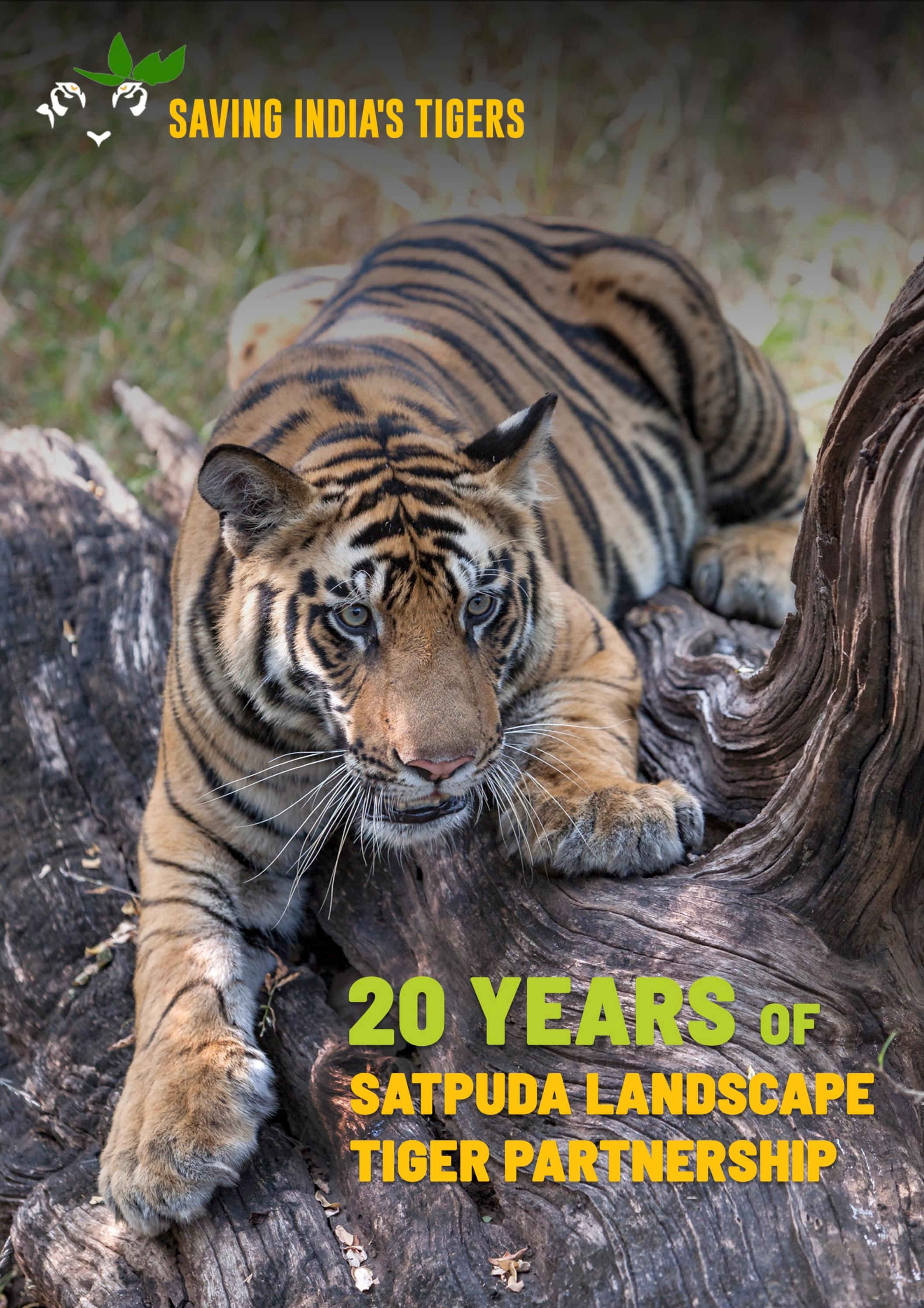 20 Years of Satpuda Landscape Tiger Partnership by BornFree - Issuu
